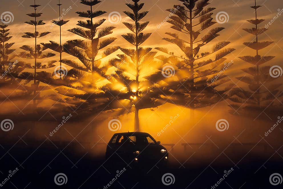 Rally Sunset stock photo. Image of sport, scenic, sunset - 1753332