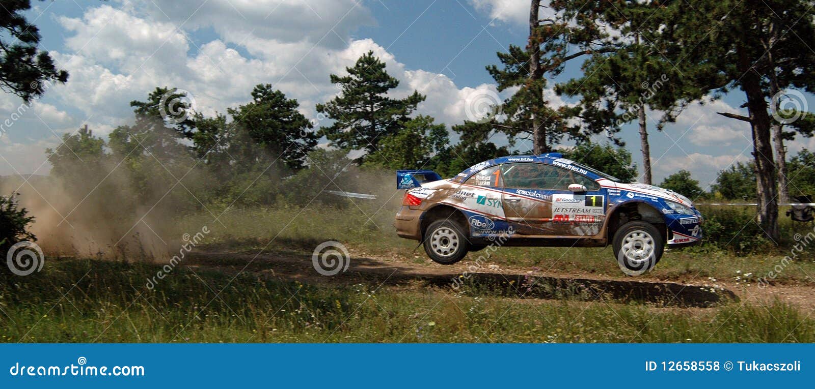 Rallye editorial stock photo. Image of race, driving - 12658558