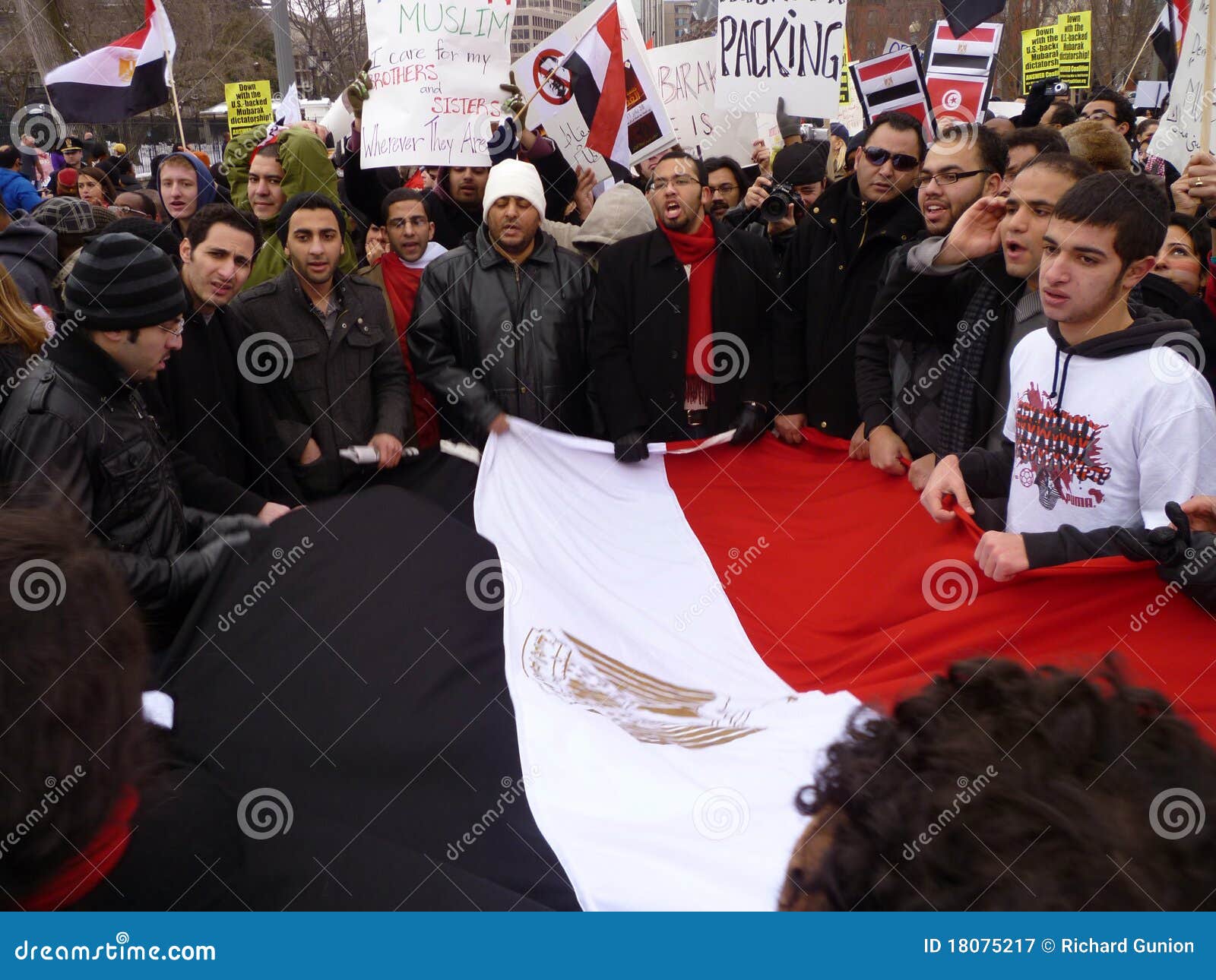 Rallying Around the Flag editorial photography. Image of people - 18075217