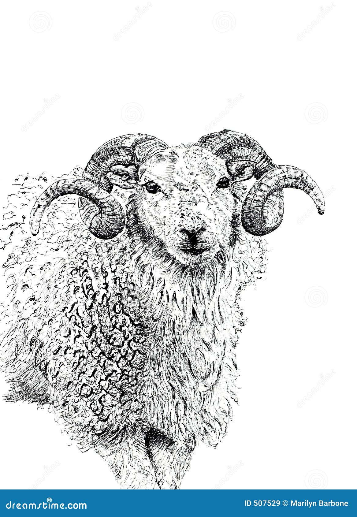 The Ram stock illustration. Illustration of artwork, face - 507529