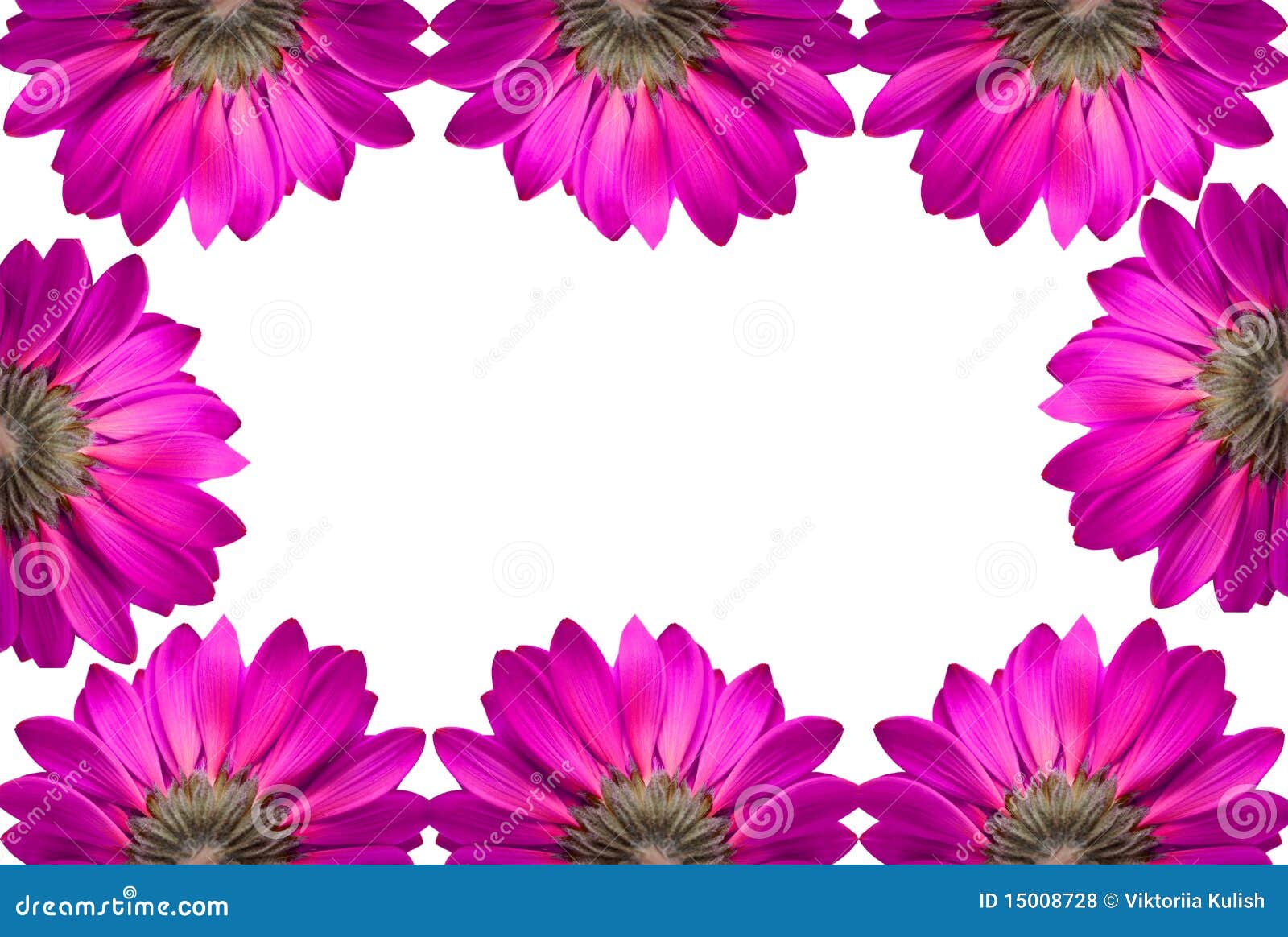 Ram av rosa blommor arkivfoto. Bild av stänga, löv, härlig - 15008728