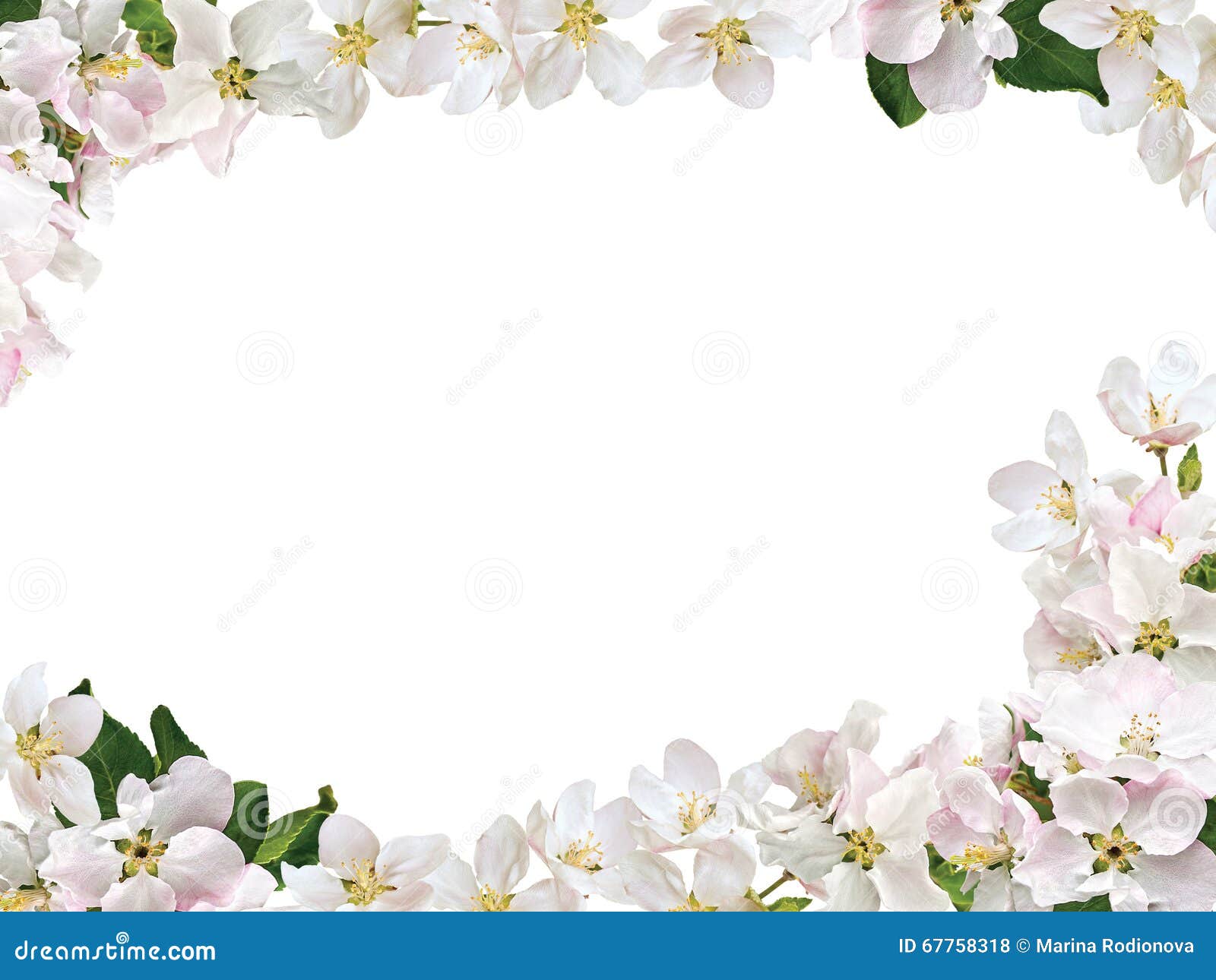 Ram Från Blommor Av Ettträd Arkivfoto - Bild av skönhet, blommar: 67758318