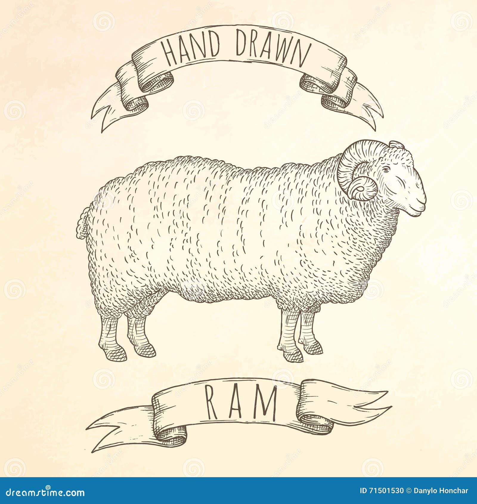 Ram Hand Drawn Illustration. Stock Vector - Illustration of grazing ...