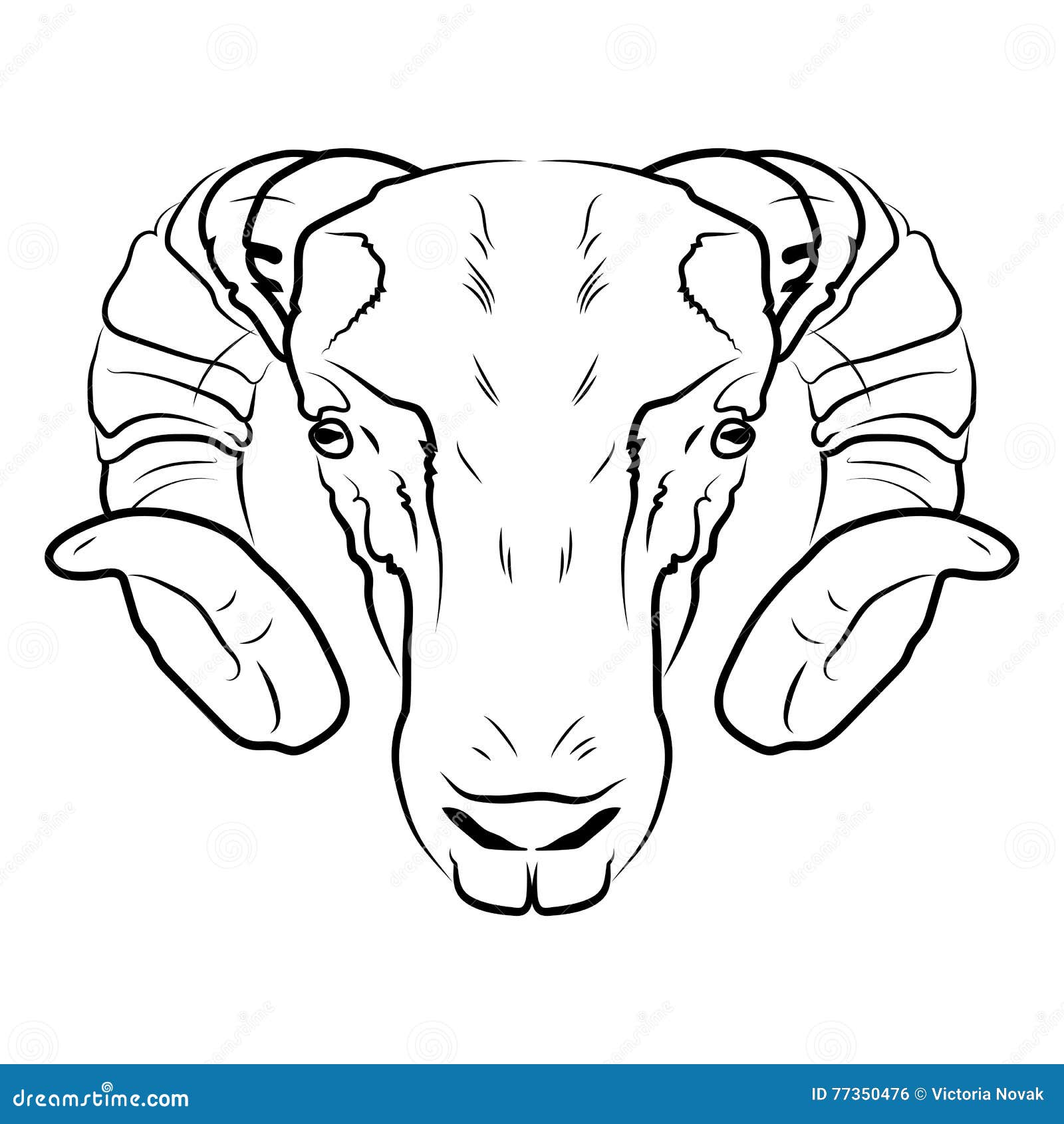 Ram Head Logo or Icon in White for a Mascot and T-shirt Graphic. Stock ...