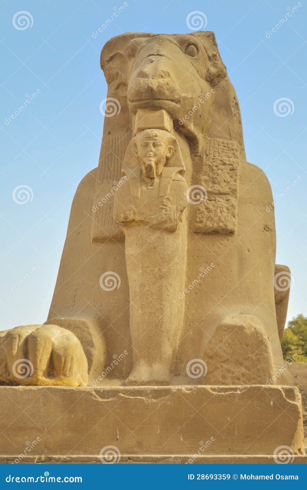Ram Headed Sphinx stock image. Image of dynasty, excursion - 28693359