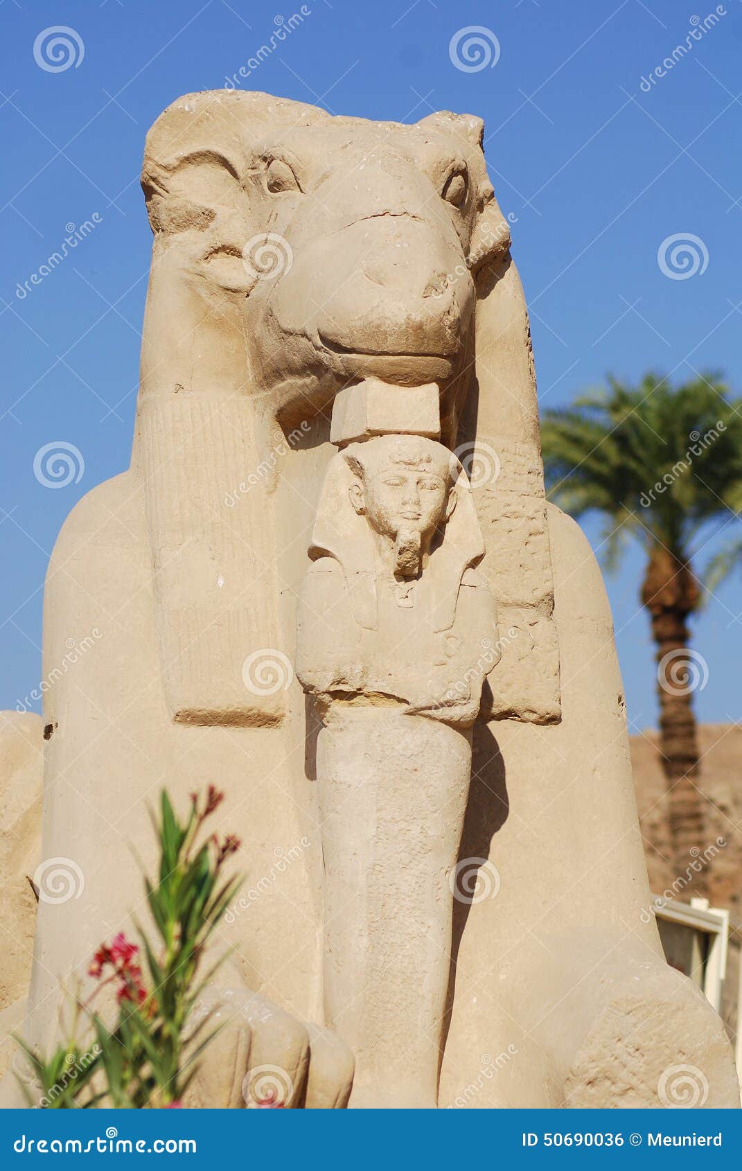 Ram-headed sphinx stock photo. Image of monument, archaeology - 50690036