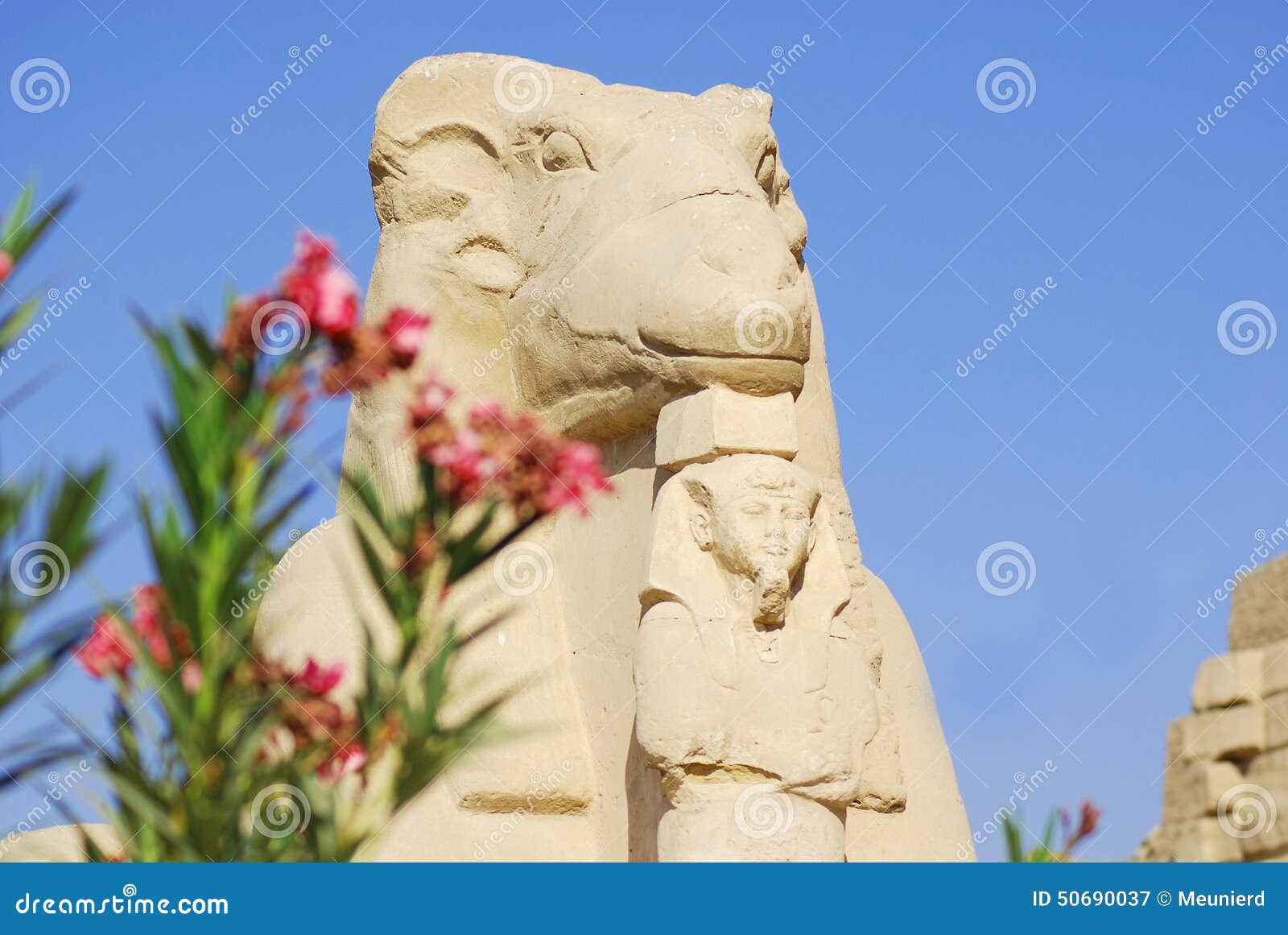 Ram-headed sphinx stock image. Image of ancient, mythology - 50690037