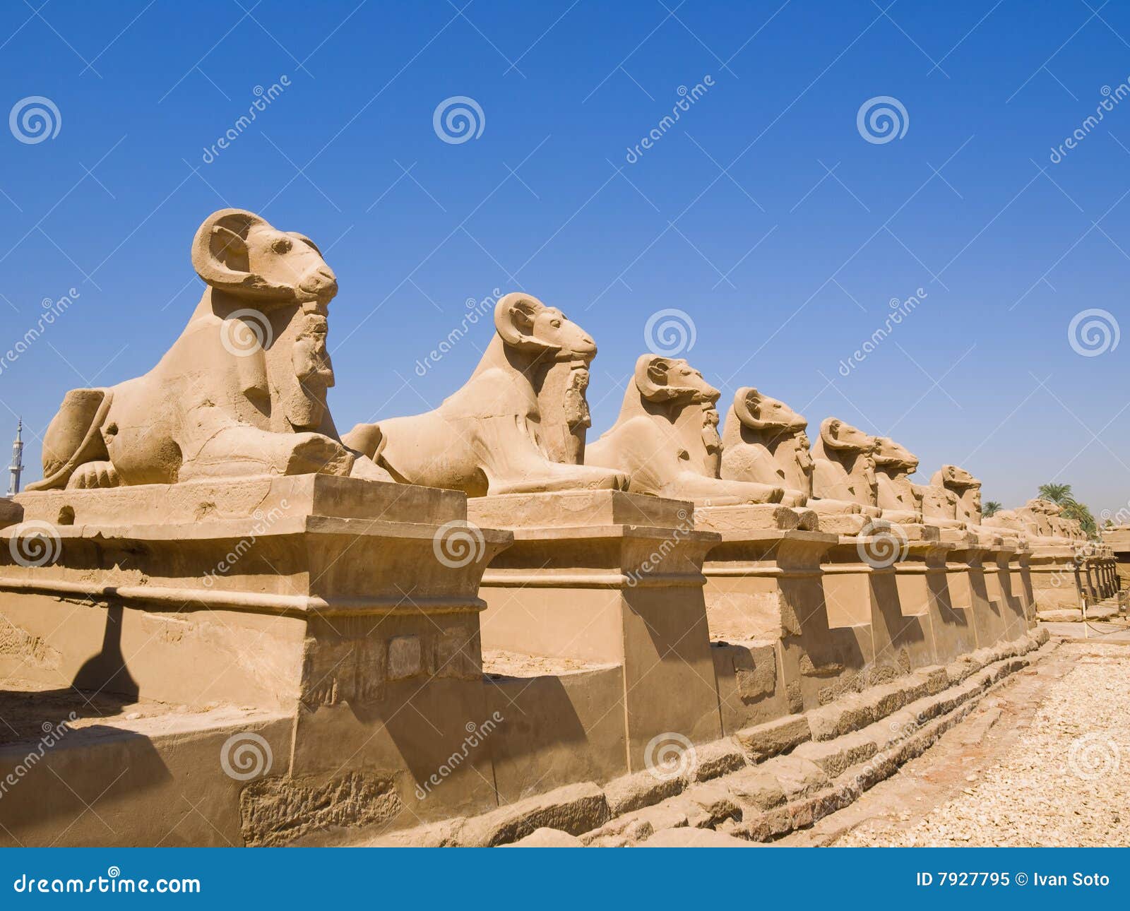 Ram-headed Sphinxes at the Gates of Karnak Stock Image - Image of ...