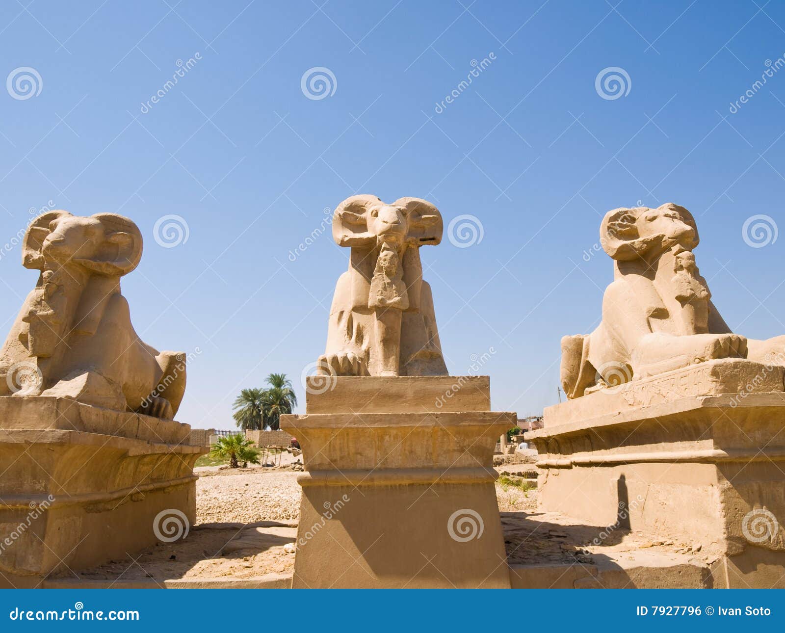 Ram-headed Sphinxes at the Gates of Karnak Stock Photo - Image of stone ...