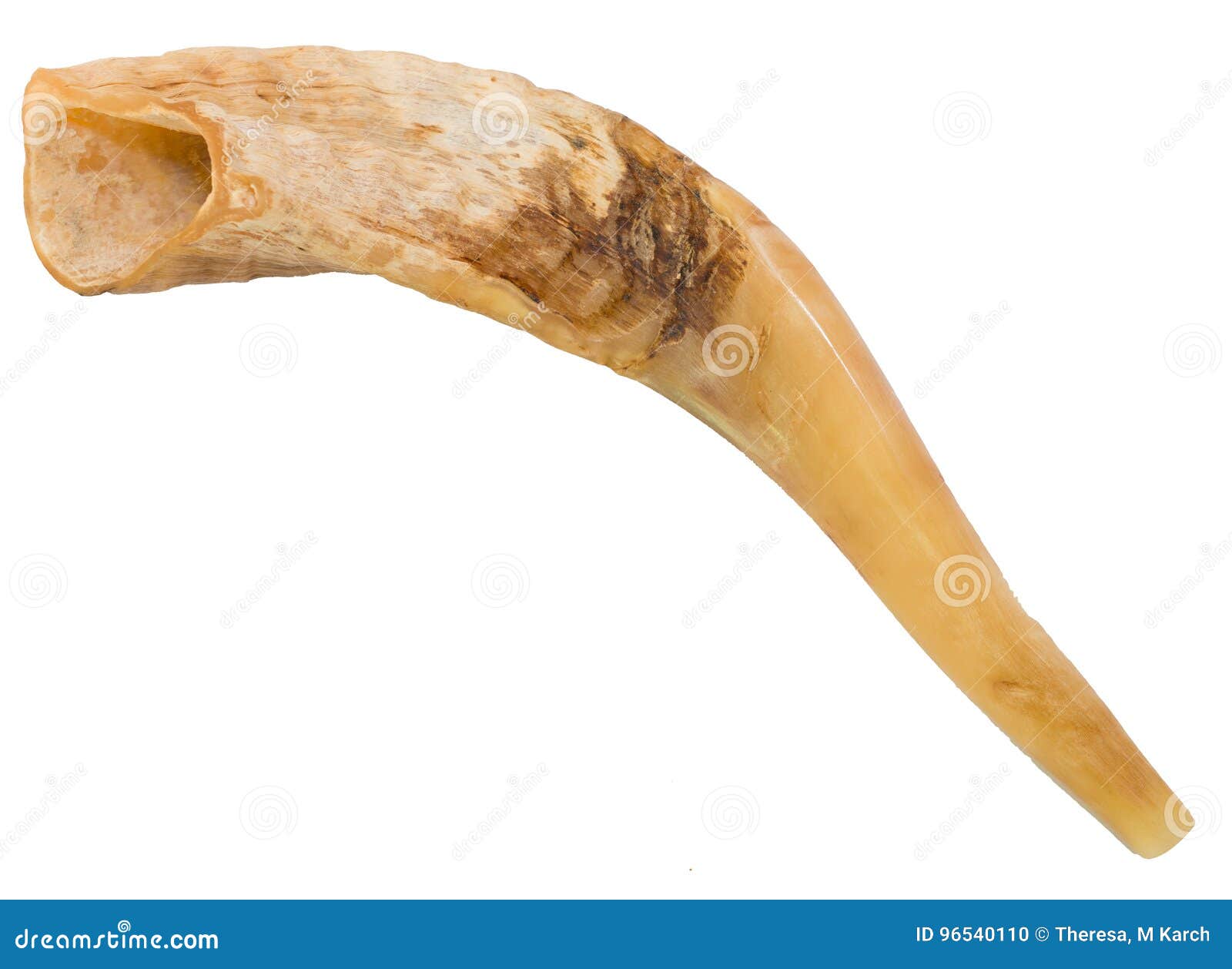 Ram Horn Shofar stock photo. Image of long, shofar, horn - 96540110