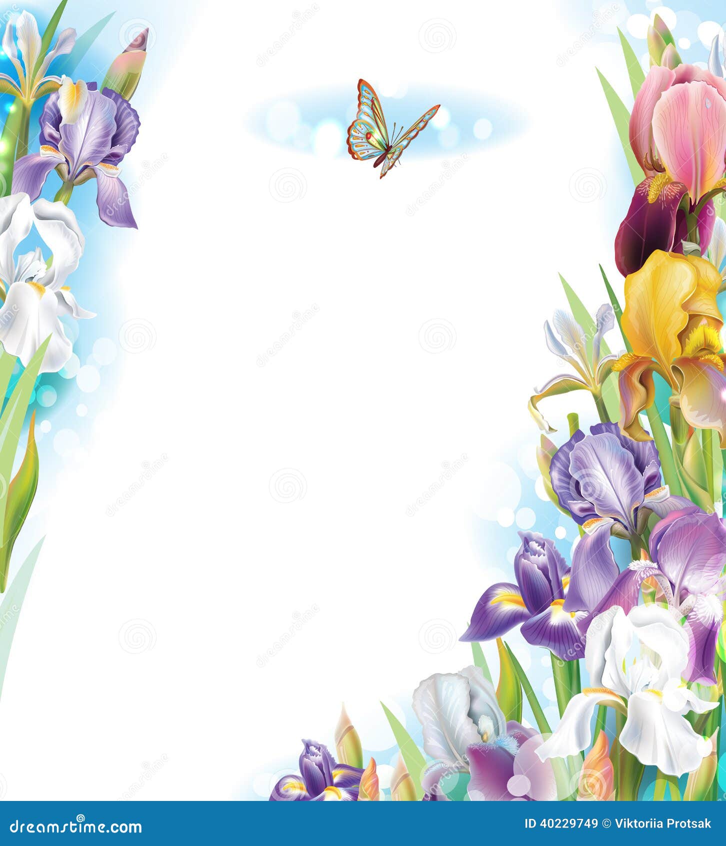 Ram med irisblommor vektor illustrationer. Illustration av fjäril ...