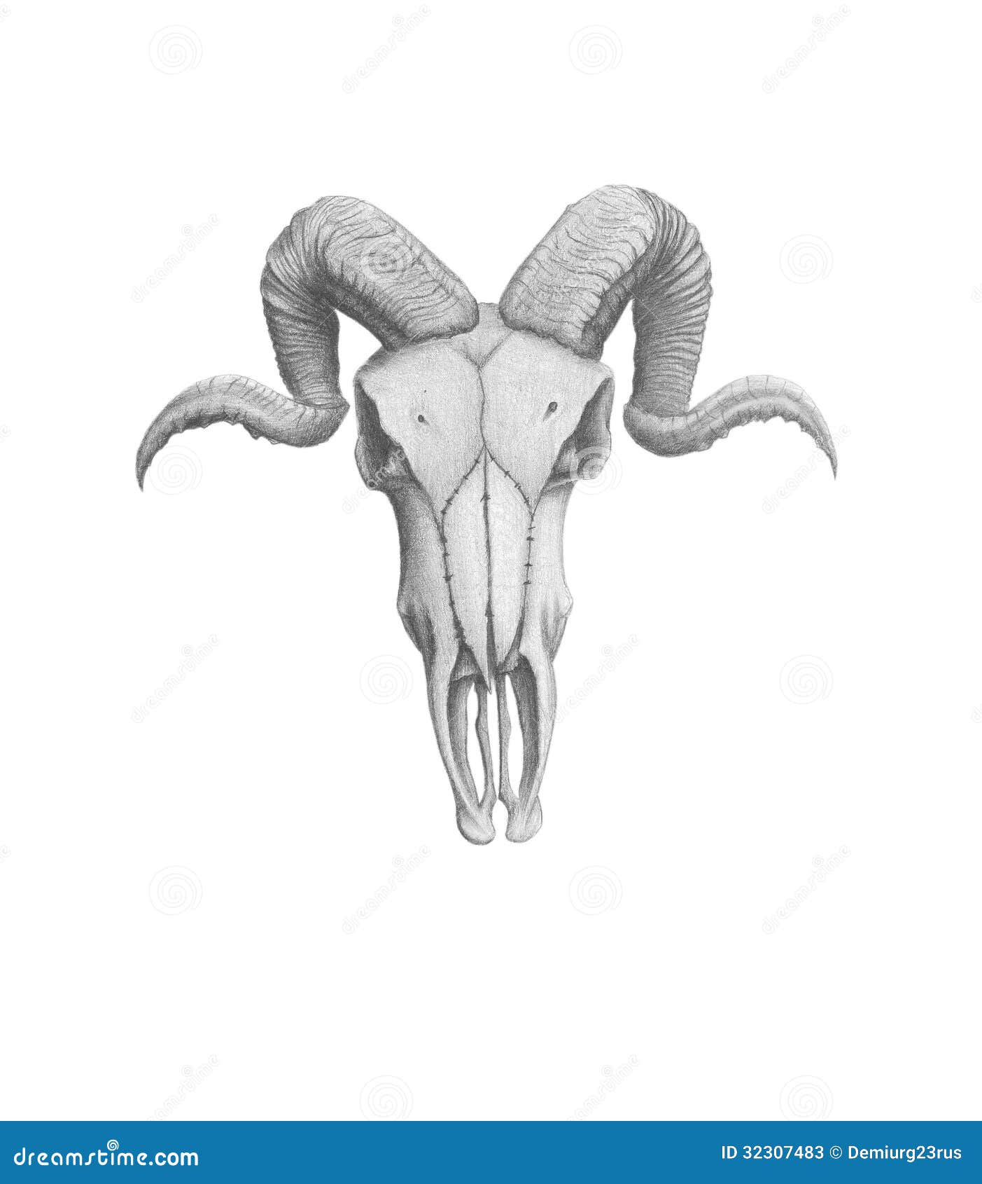 Ram skull stock illustration. Illustration of goat, black - 32307483