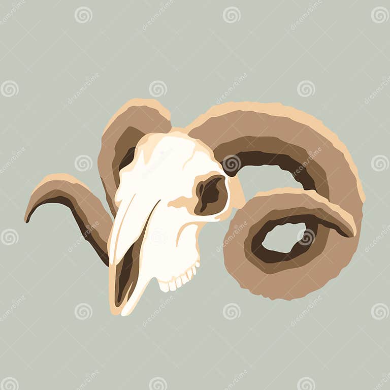 Ram Skull, Vector Illustration , Flat Style Stock Vector - Illustration ...