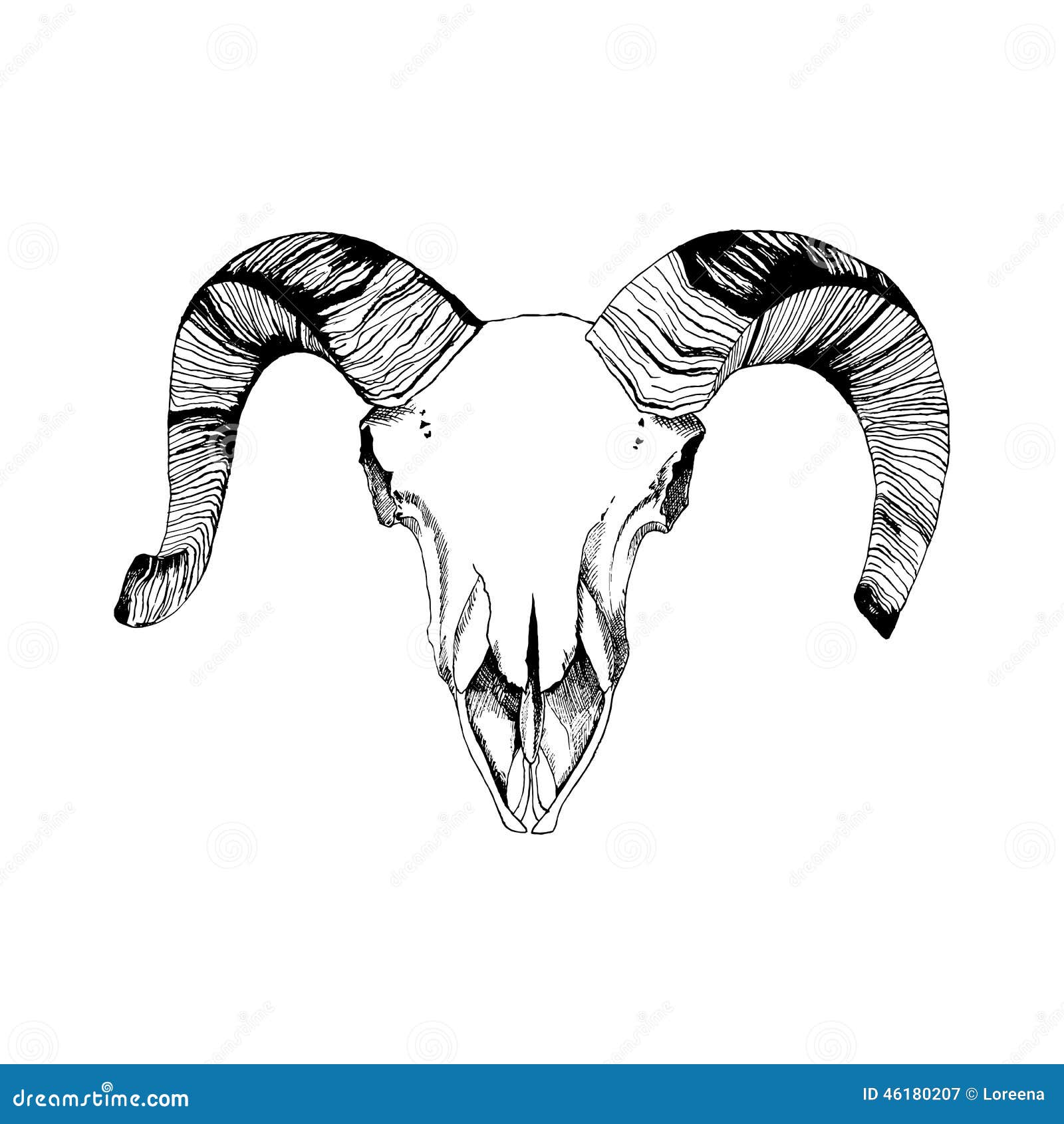 Ram Skull in vintage style stock vector. Illustration of grunge - 46180207