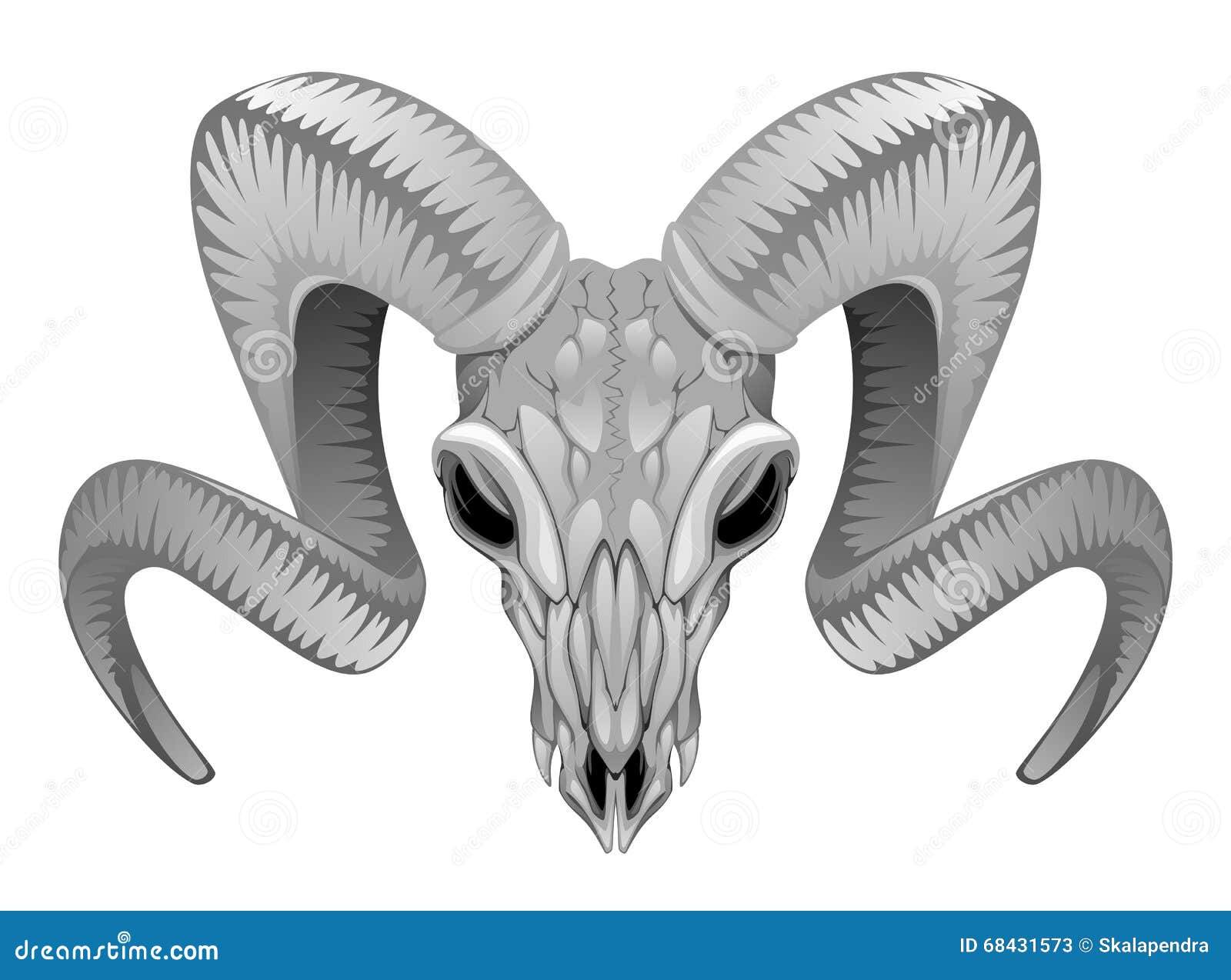 Ram skull stock vector. Illustration of forehead, anatomy - 68431573