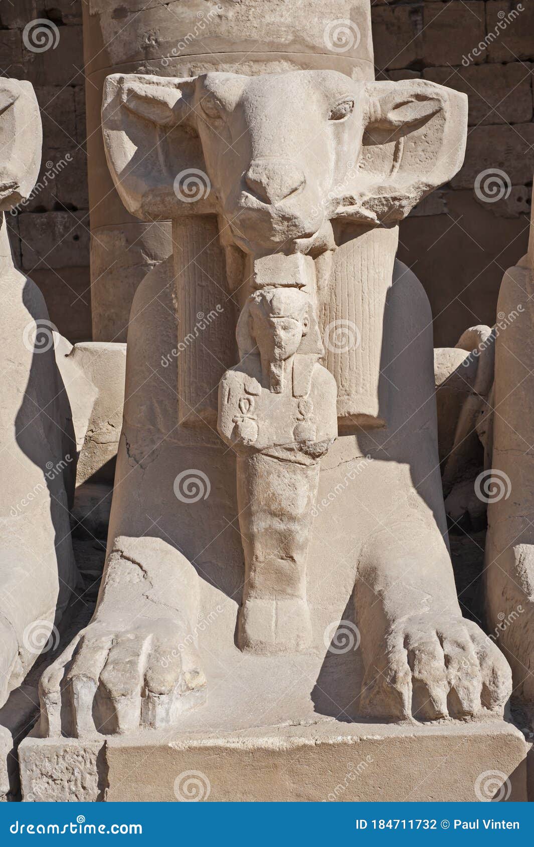 Ram Sphinx at Ancient Egyptian Temple in Luxor Stock Photo - Image of ...