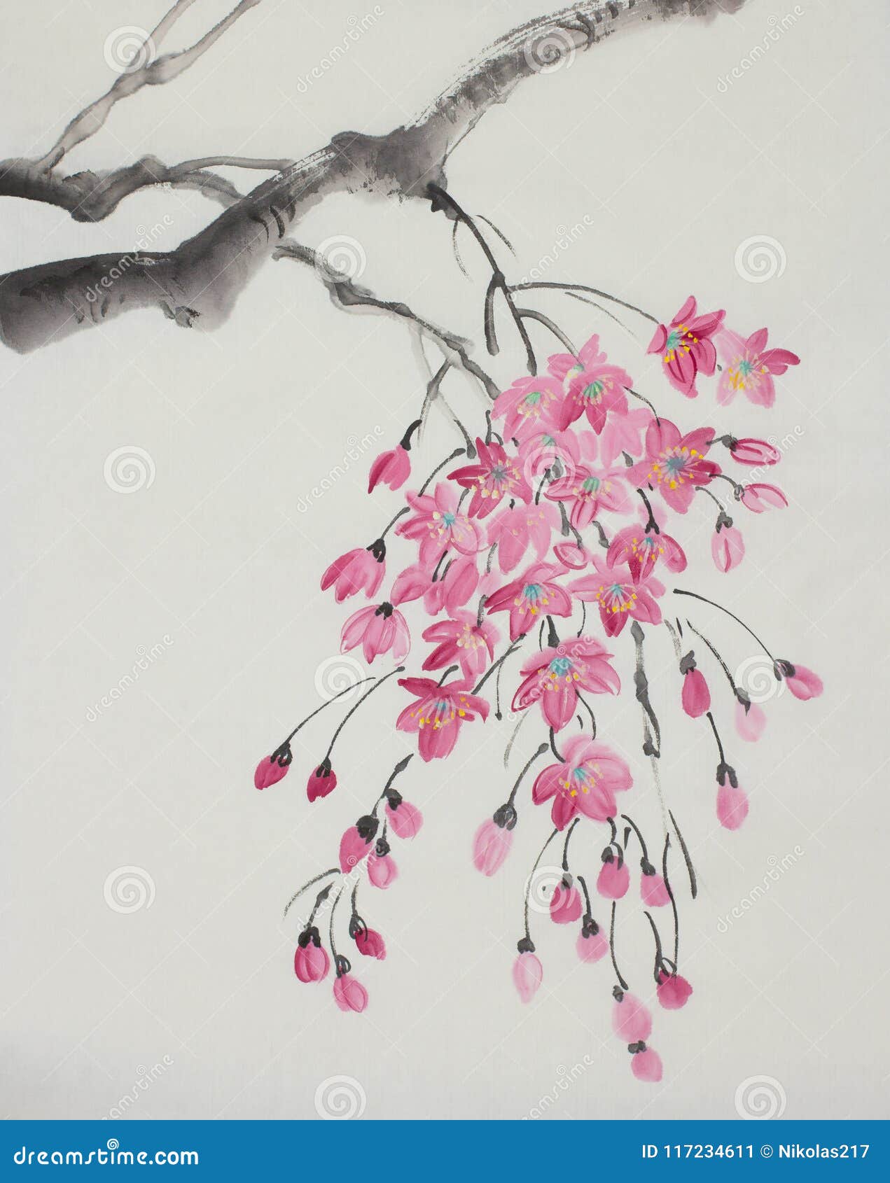 Rama de Cherry Blossom stock de ilustración. Ilustración de flores ...