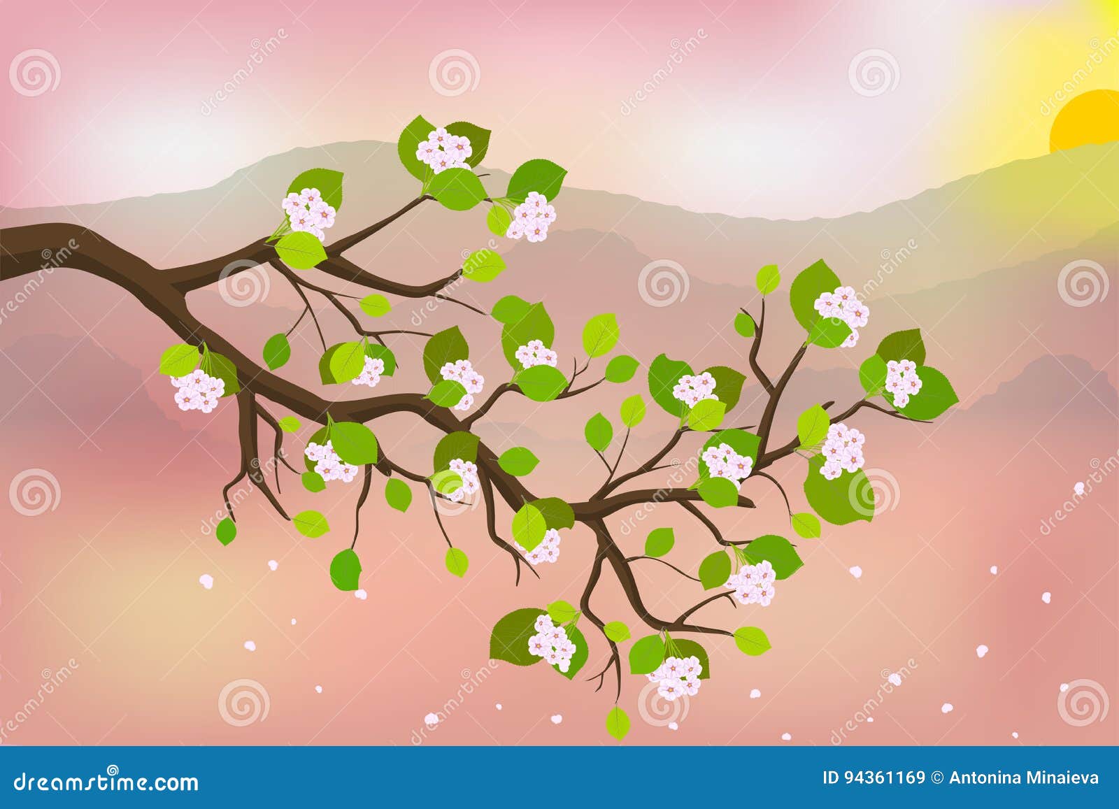 Rama de Cherry Blossom ilustración del vector. Ilustración de fondo ...