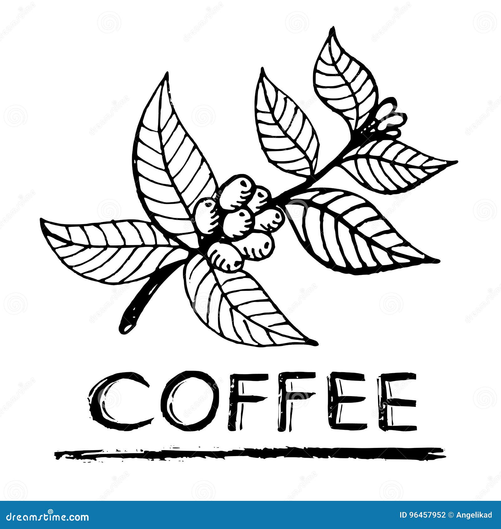 Rama del café ilustración del vector. Ilustración de arbusto - 96457952