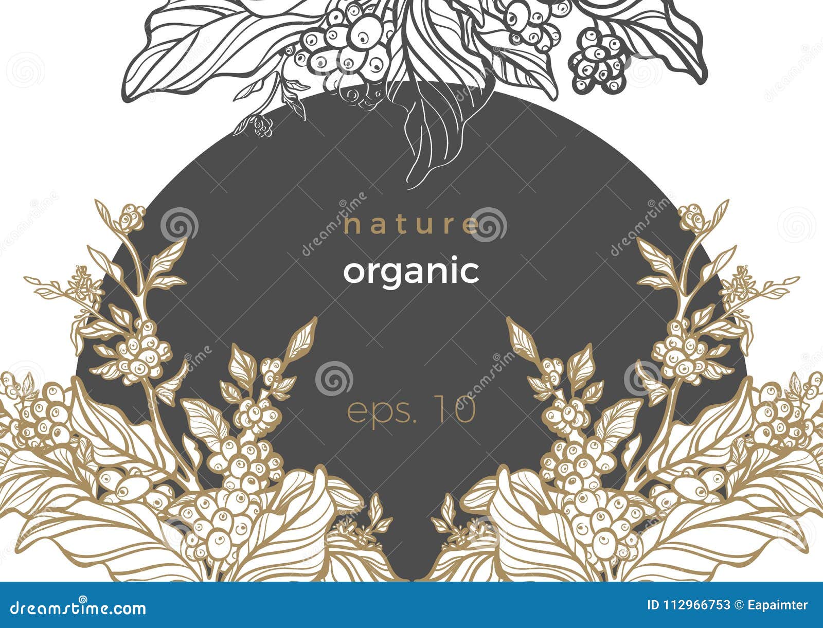 Rama Del Café Modelo Del Vector Ilustración del Vector - Ilustración de ...