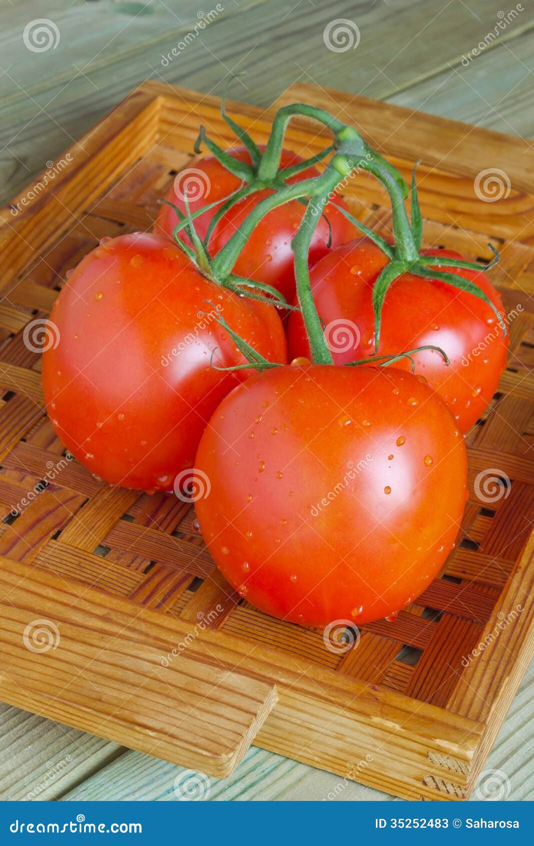 Rama del tomate imagen de archivo. Imagen de sano, refresco - 35252483