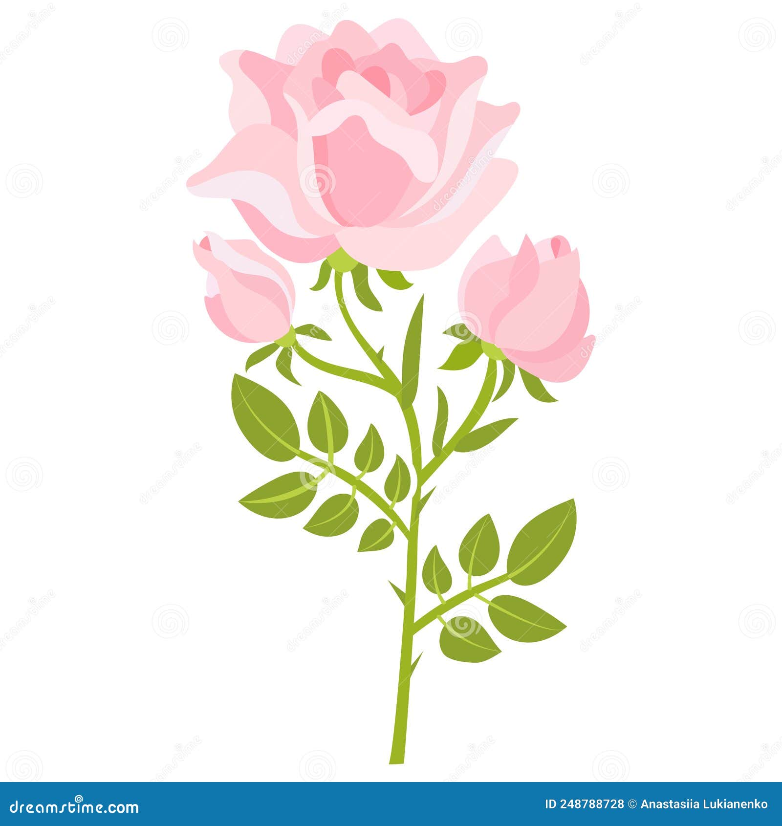 Rama Rosa Rosa Aislado En Fondo Blanco. Vector Ilustración del Vector ...