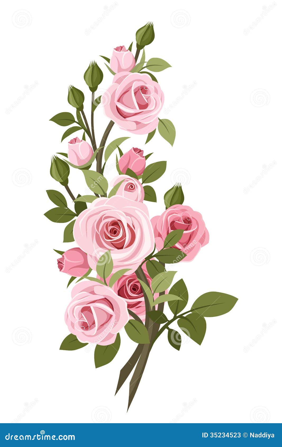 Rama Rosada De Las Rosas Del Vintage. Ilustración del Vector ...