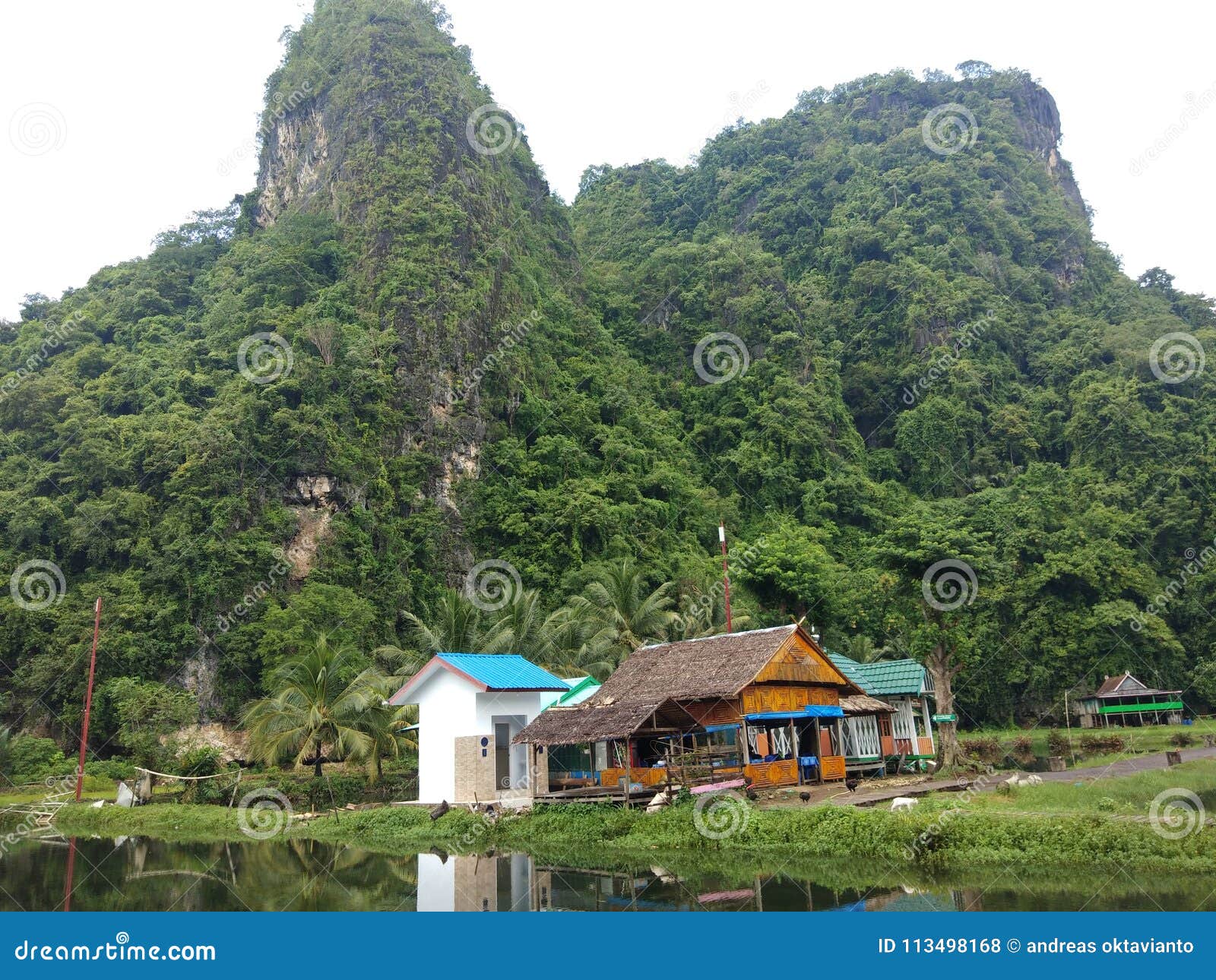 Ramang ramag stock photo. Image of ramang, south, sulawesi - 113498168