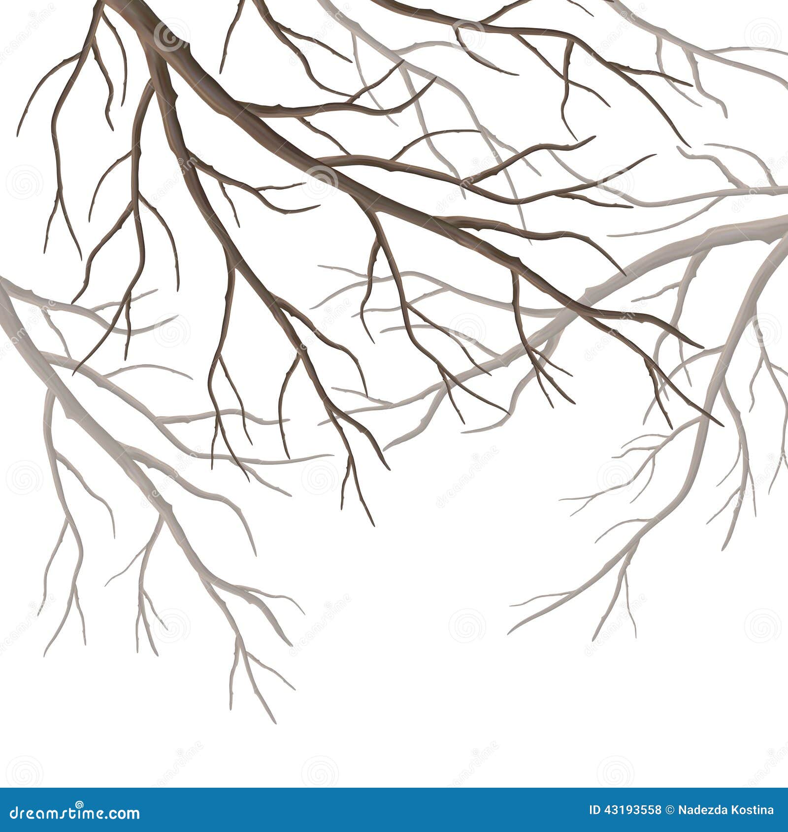 Ramas de árbol del vector ilustración del vector. Ilustración de ...