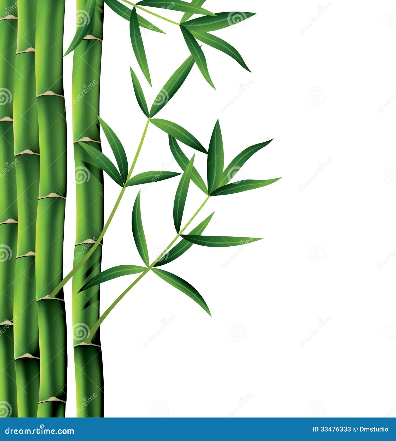 Ramas de bambú ilustración del vector. Ilustración de flora - 33476333