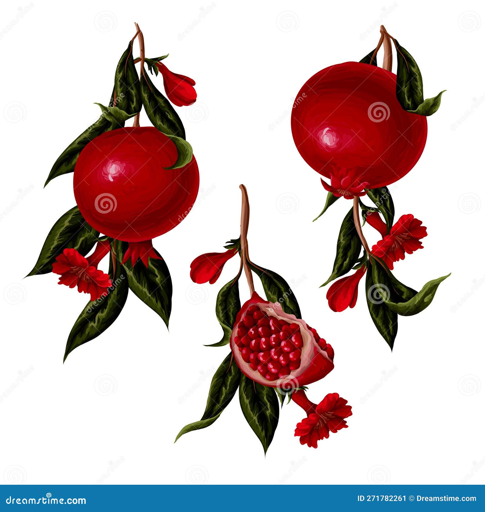 Ramas De Granadas Y Flores. Vector. Ilustración del Vector ...
