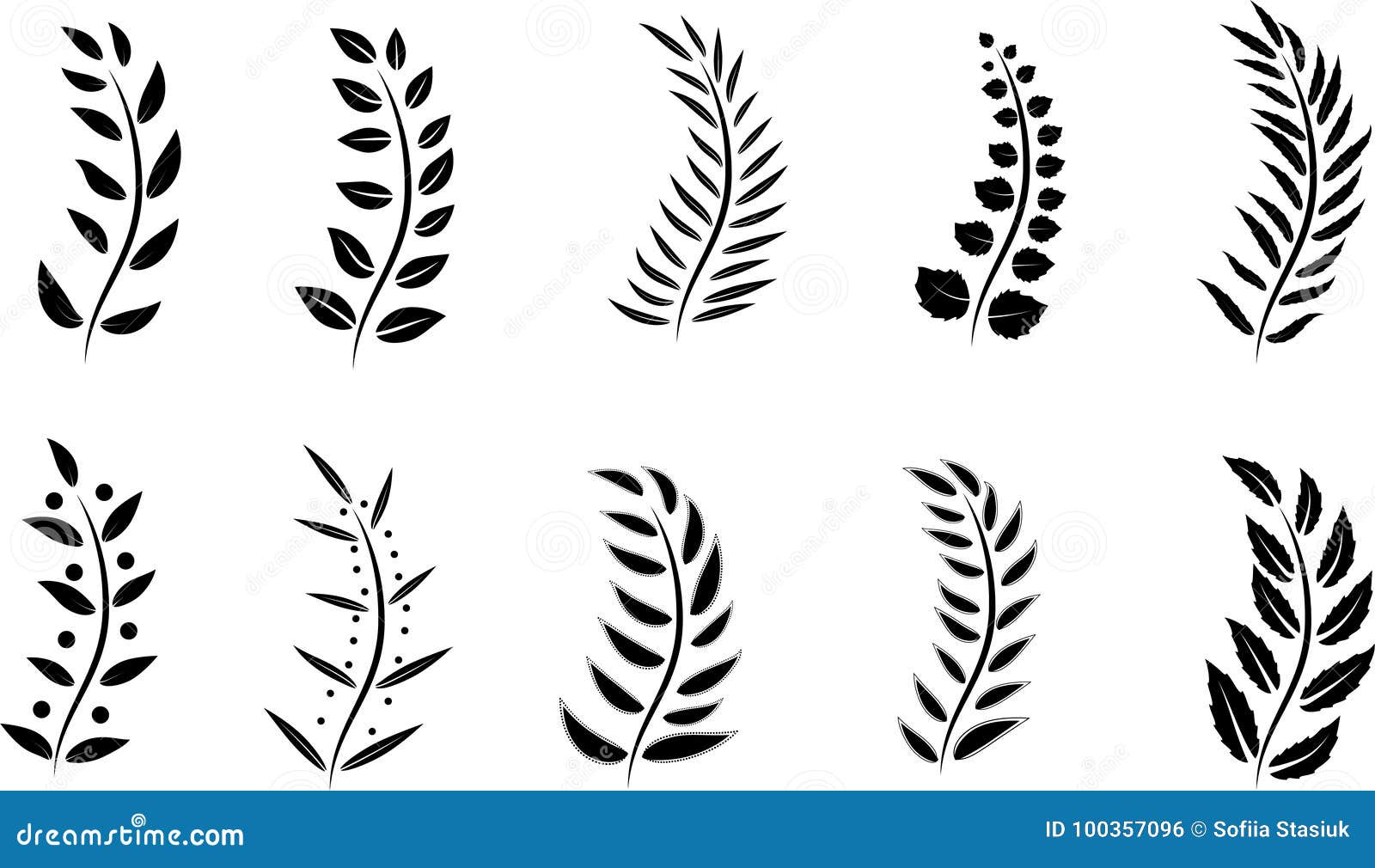 Ramas Fijadas Con Las Hojas Aisladas En Vector Ilustración del Vector ...