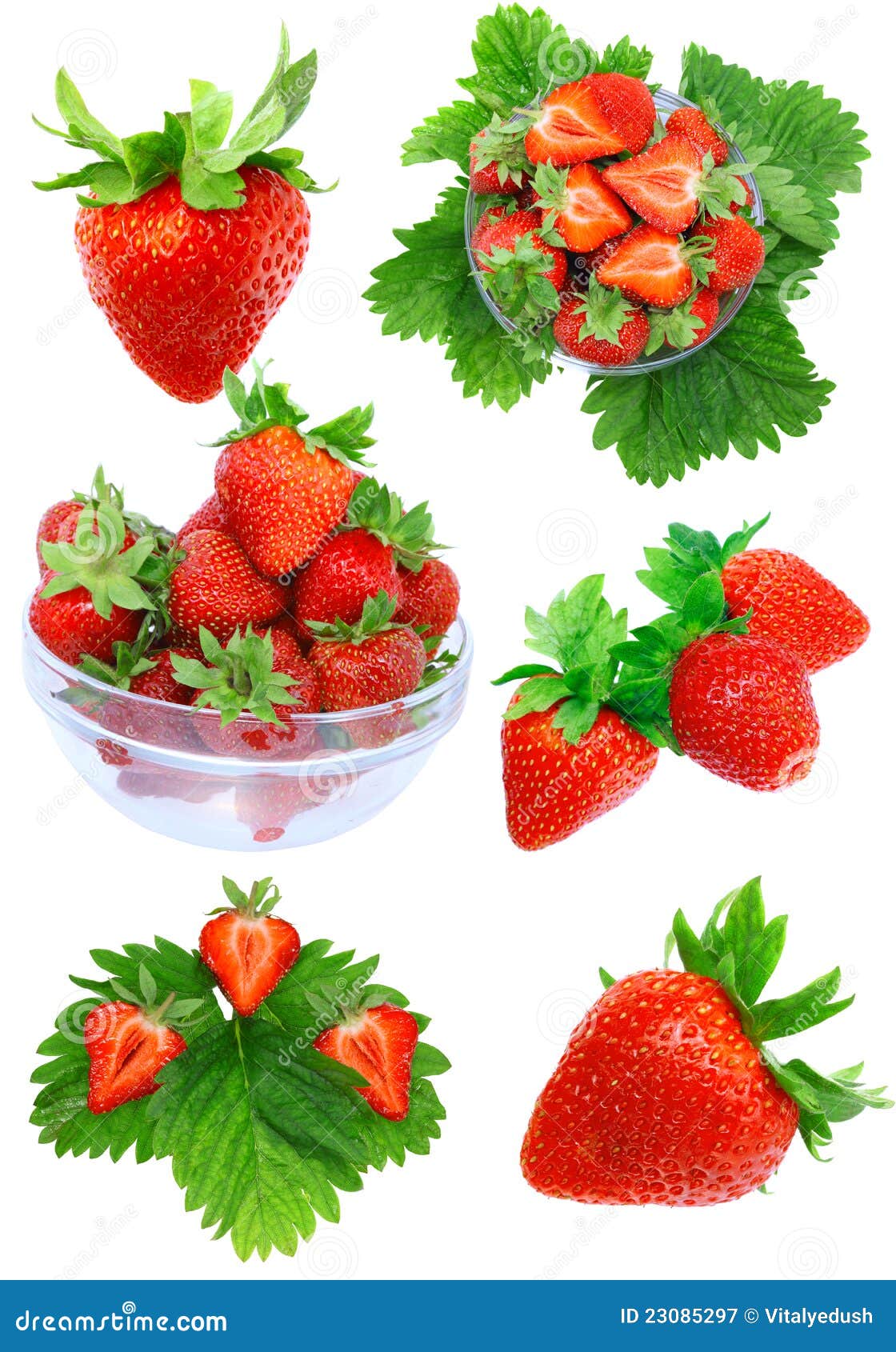 Ramassage De Fraises Sur Le Blanc. D'isolement Image stock - Image du ...
