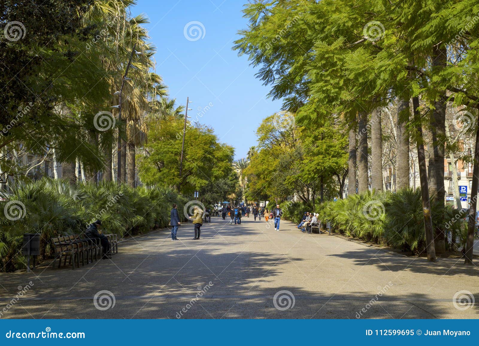 Rambla Del Raval in Barcelona, Spanien Redaktionelles Bild - Bild von ...