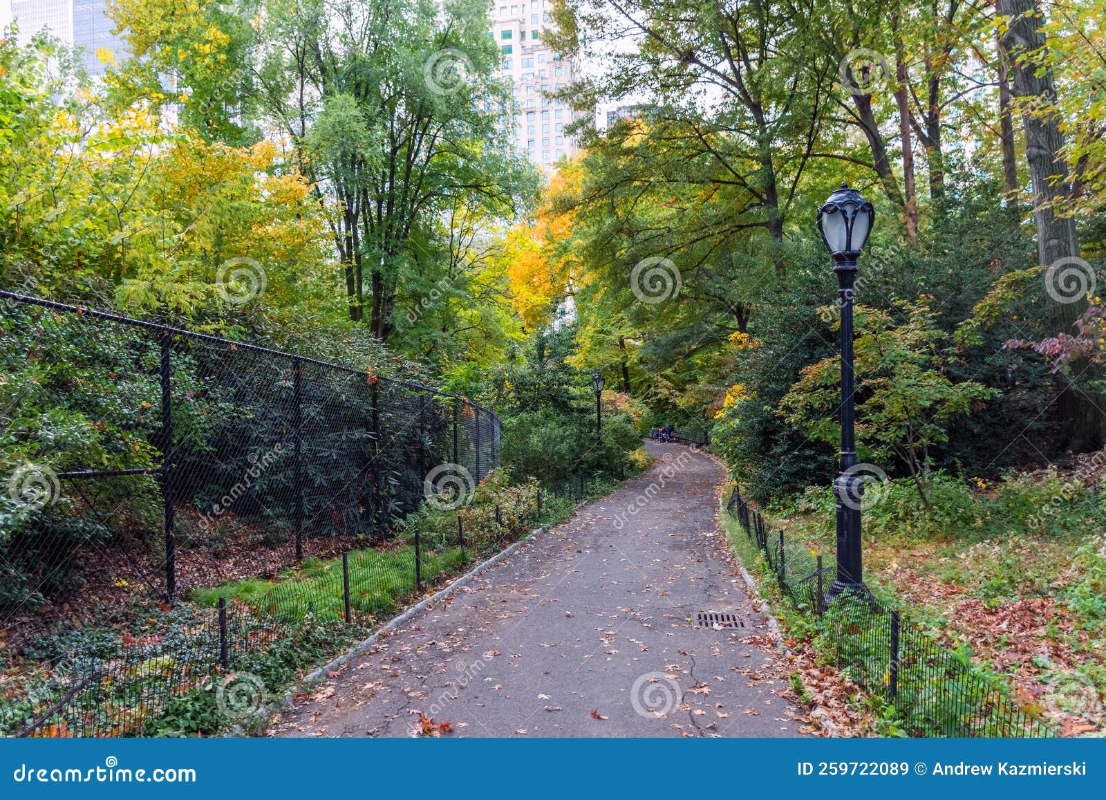 The Rambles Path stock image. Image of park, walkway - 259722089