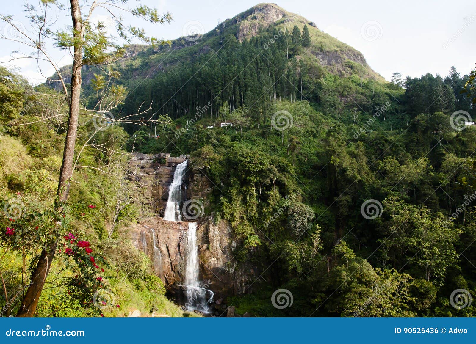 Ramboda Falls.Ramboda Falls Is The 11th Highest Waterfall Among The ...