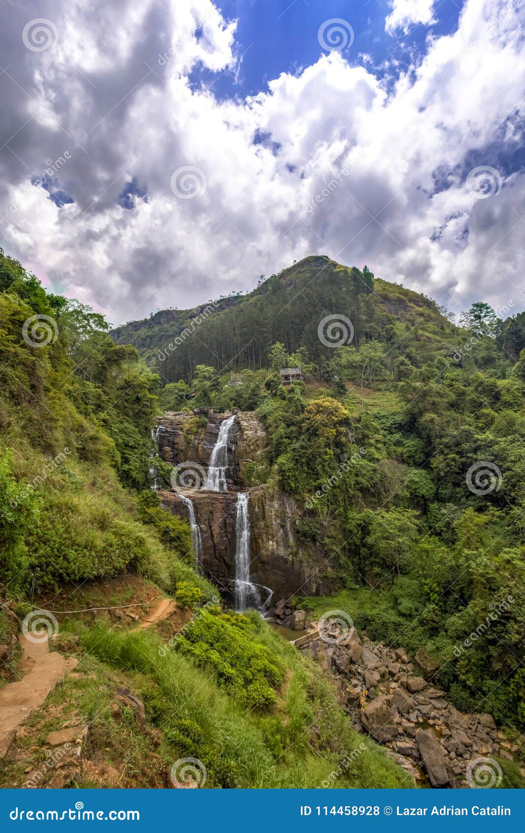 Ramboda falls, Sri Lanka stock photo. Image of jungle - 114458928