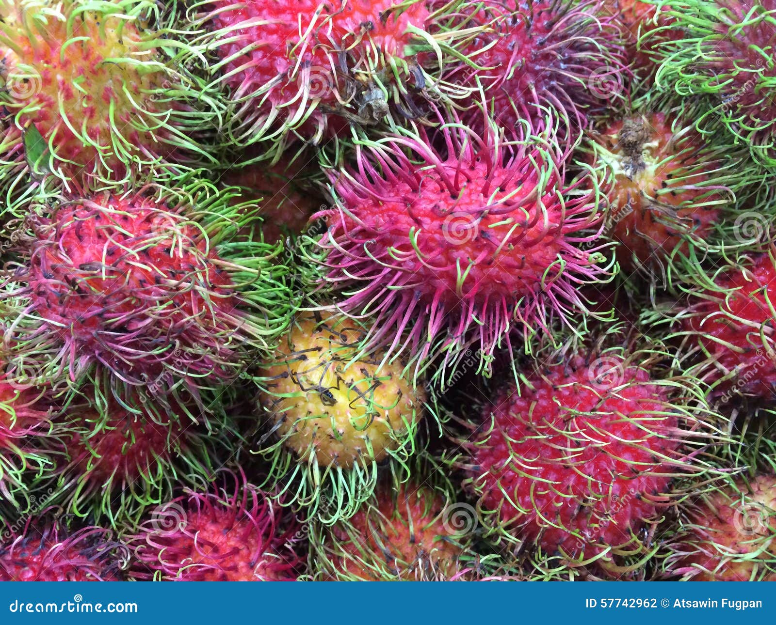 Ramboutan photo stock. Image du frais, nourriture, juteux - 57742962