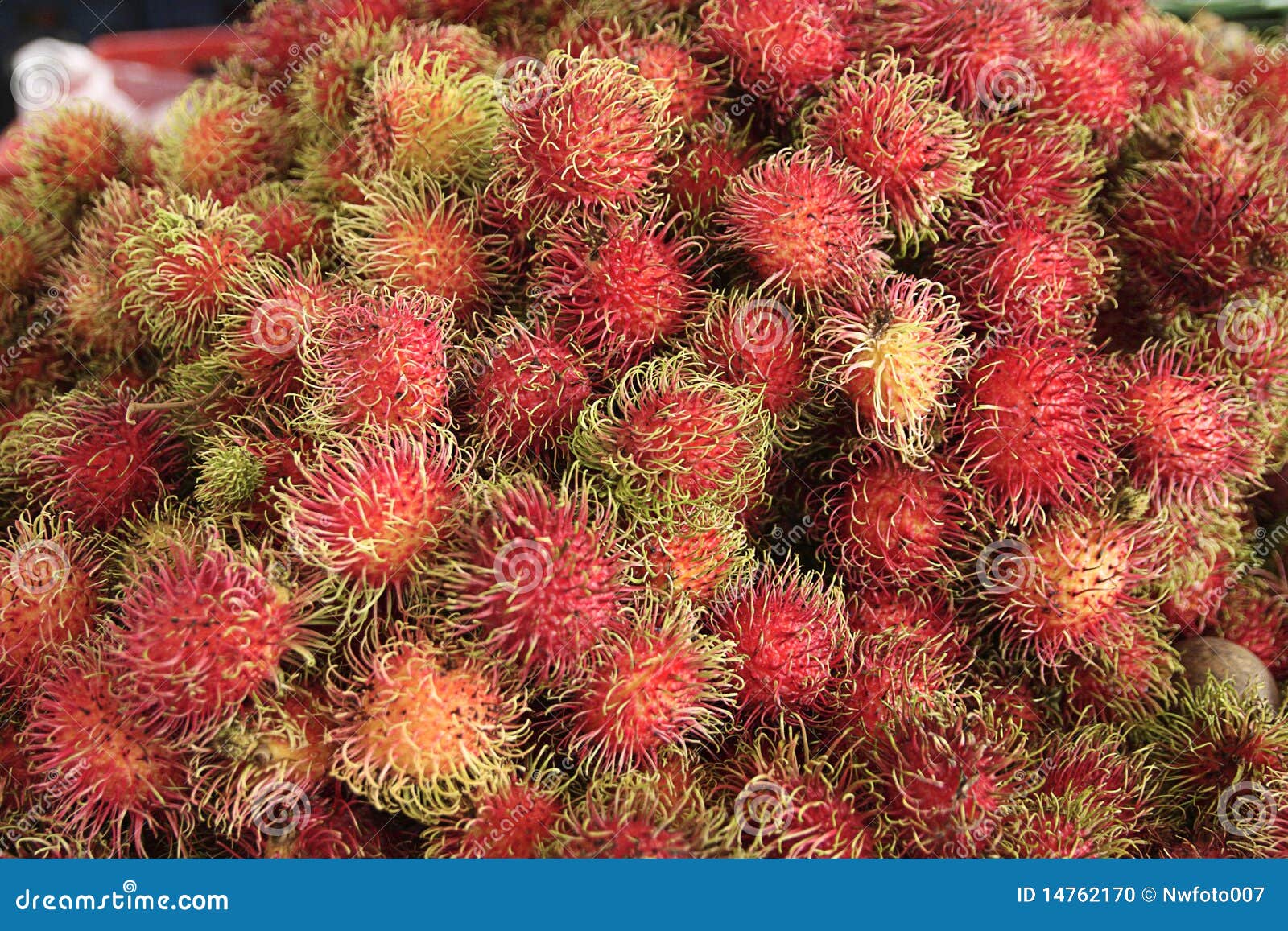 Rambutan stock photo. Image of sweet, organic, yellow - 14762170