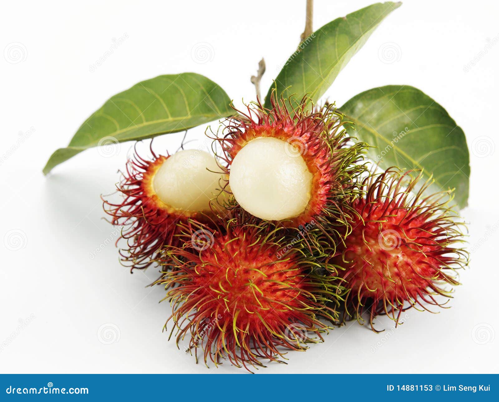 Rambutan Fotos de archivo - Imagen: 14881153