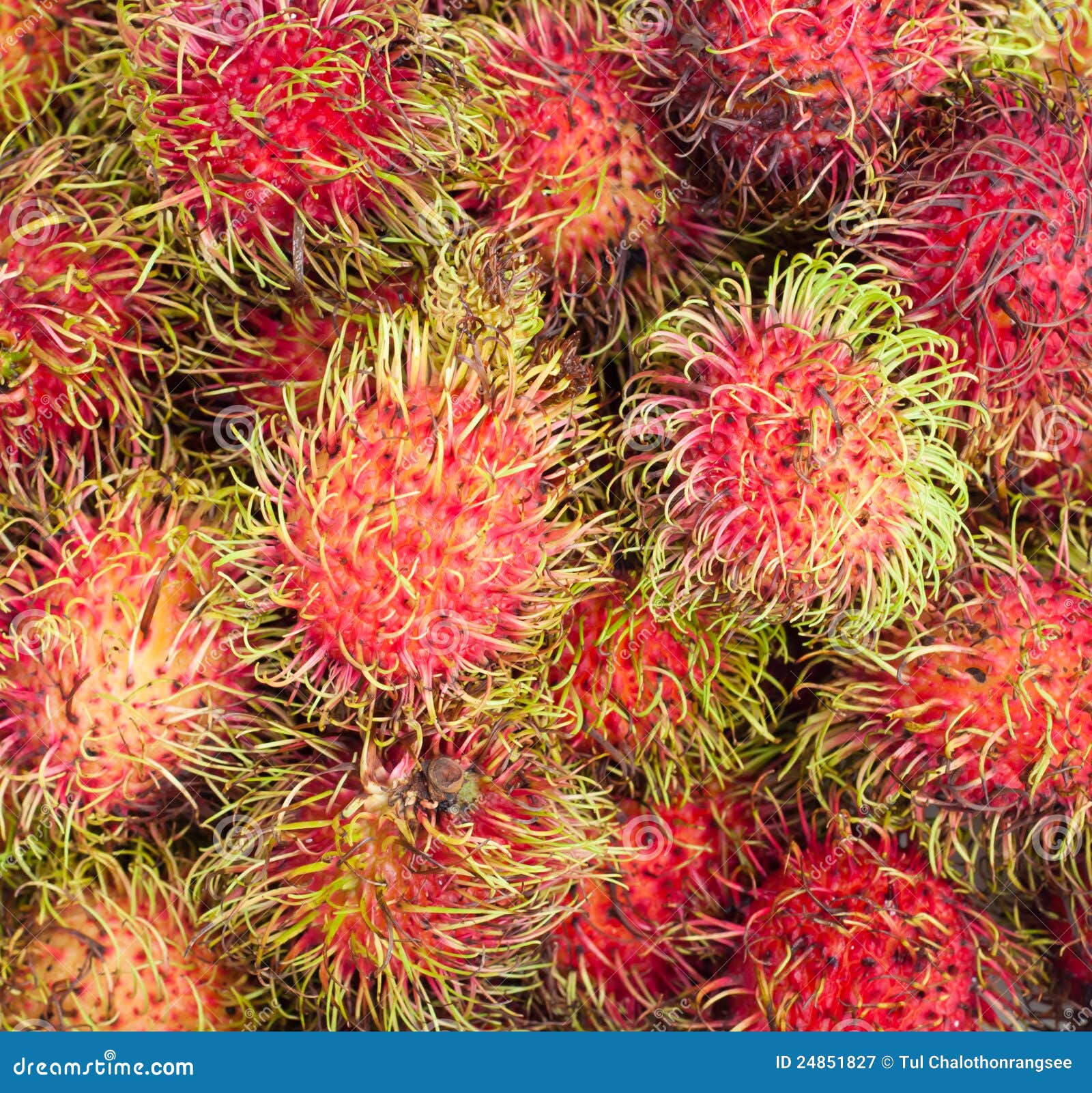 Rambutan Background Stock Photography | CartoonDealer.com #55914122