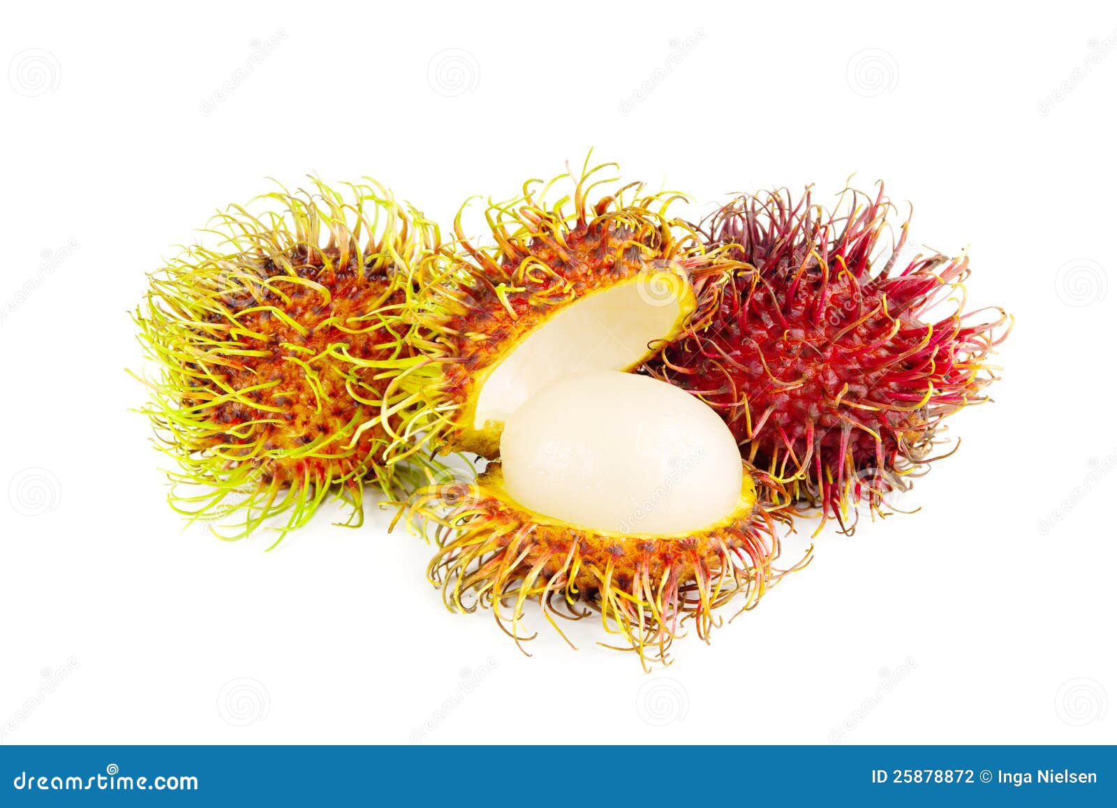 Rambutan stock photo. Image of colorful, ripe, white - 25878872