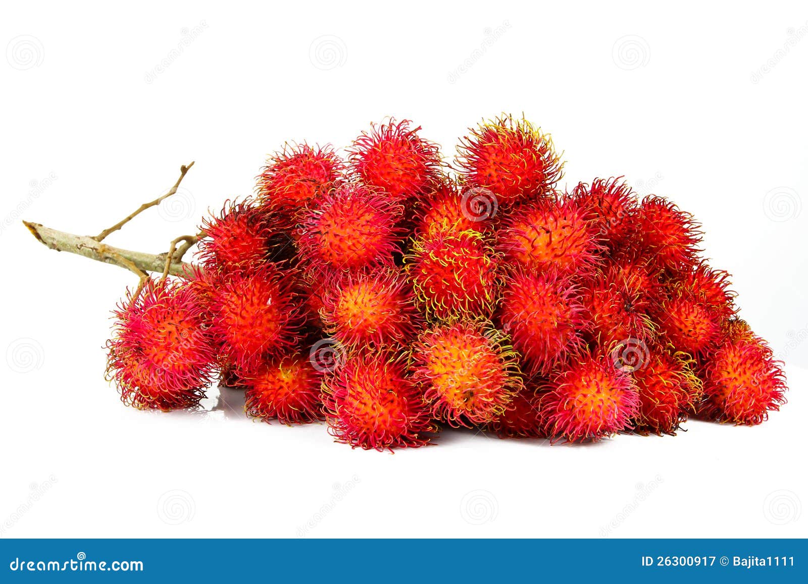 Rambutan Royalty-Free Stock Photography | CartoonDealer.com #15240965