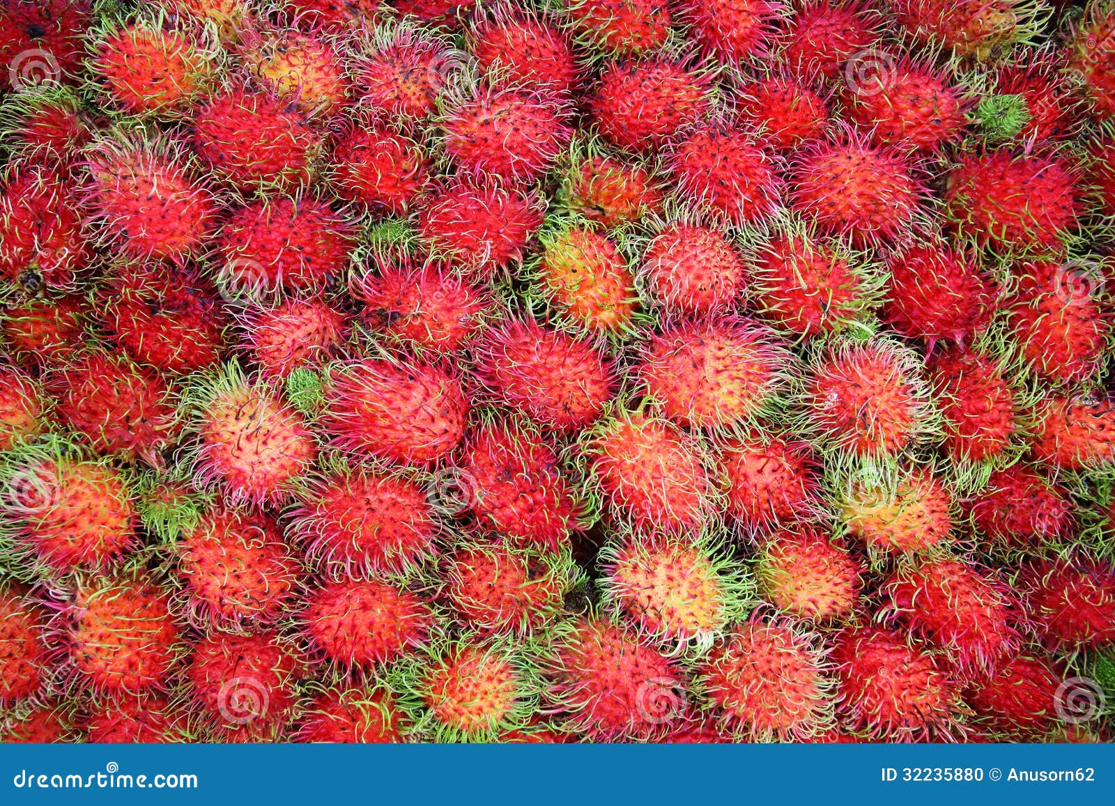 Rambutan foto de archivo. Imagen de sano, melenudo, cosecha - 32235880