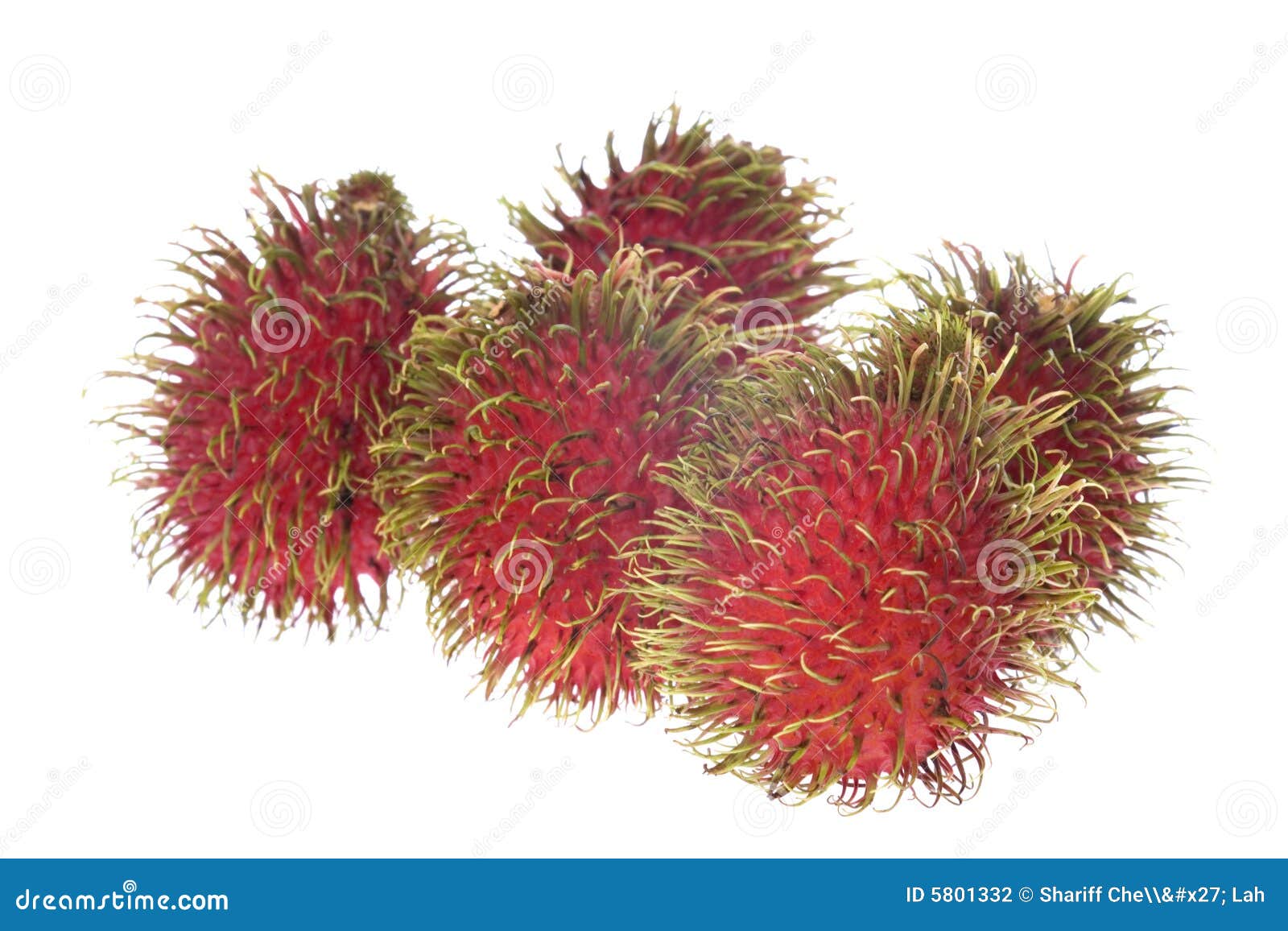 Rambutan stock photo. Image of fruit, hair, unpeeled, asia - 5801332