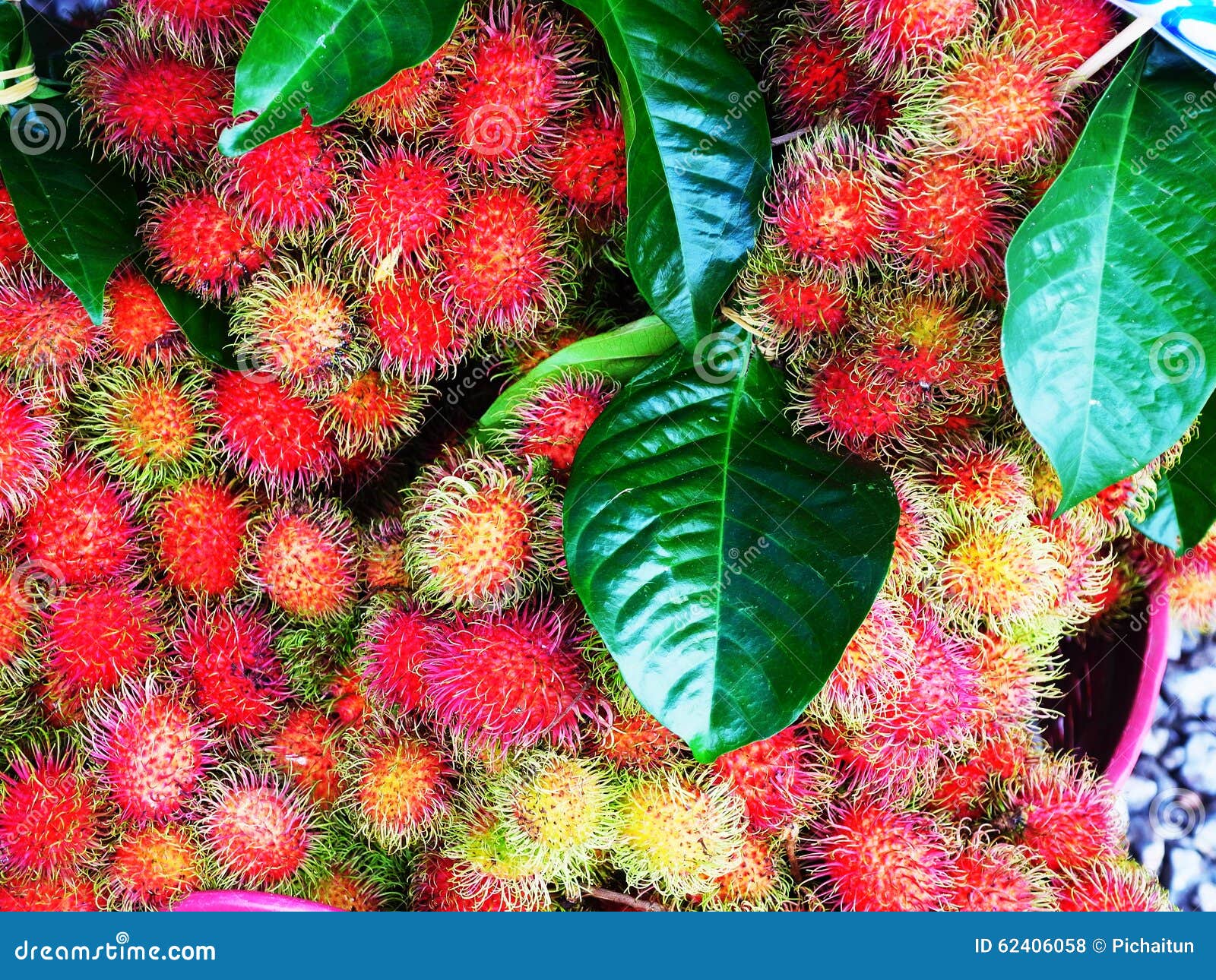 Rambutan foto de stock. Imagem de nutritivo, tropical - 62406058