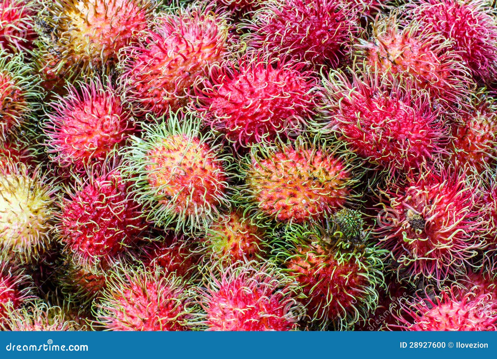 Rambutan On The Background. Rambutan On The Background Stock ...