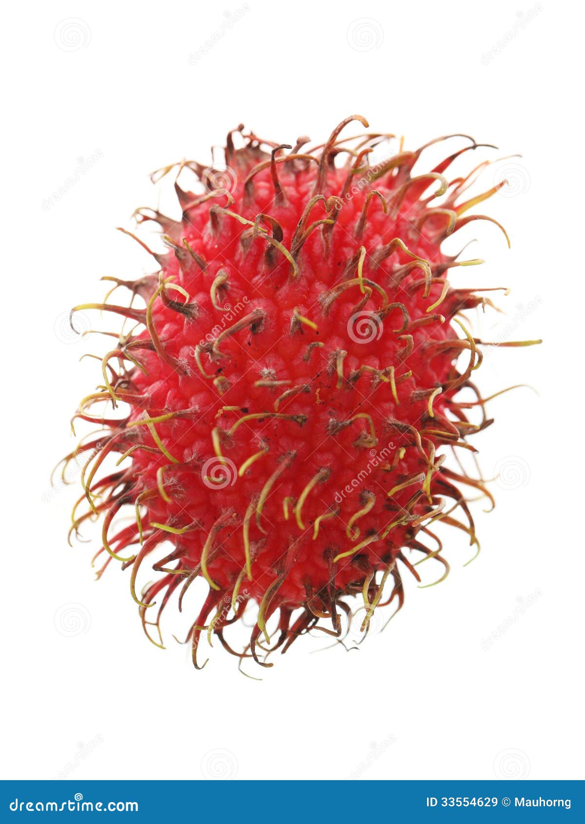 Rambutan stock image. Image of alone, white, single, healthy - 33554629
