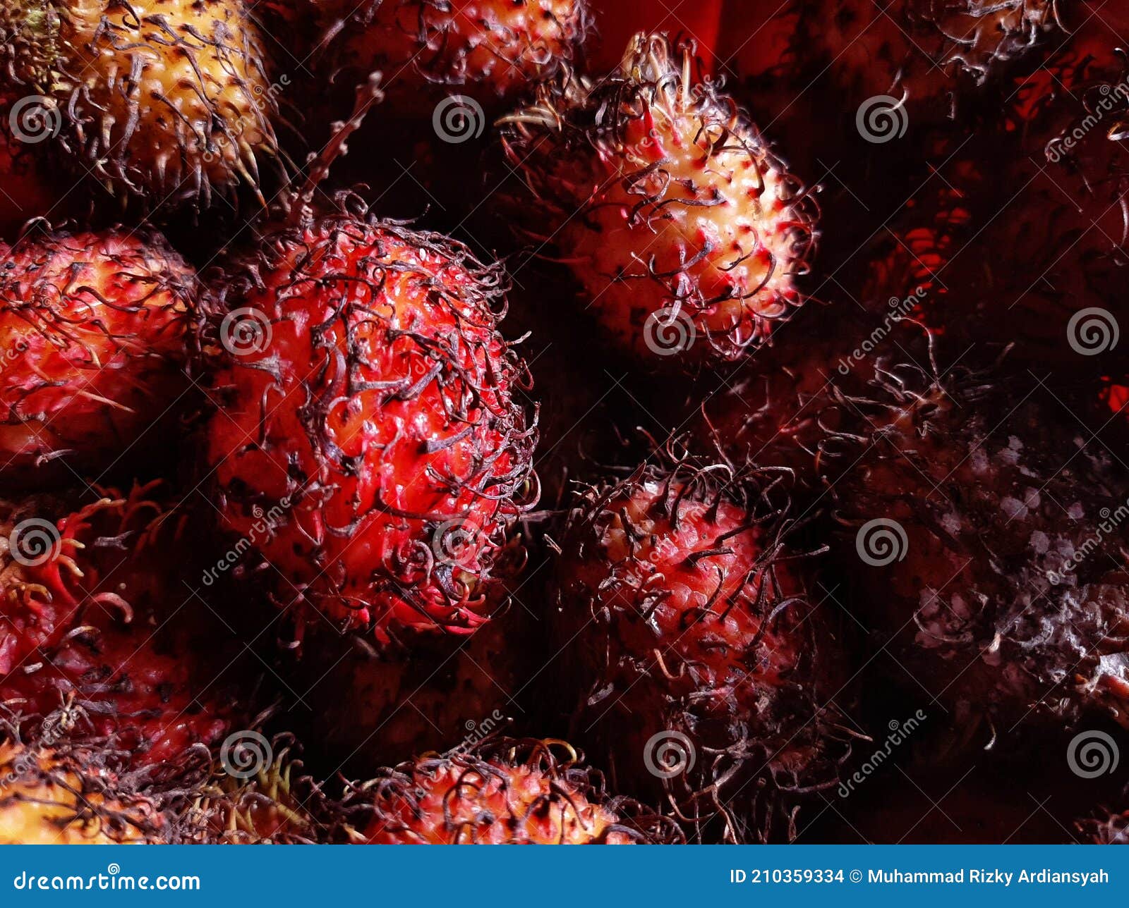 Rambutan Fruit, is a Native Fruit from Indonesia Stock Photo - Image of ...