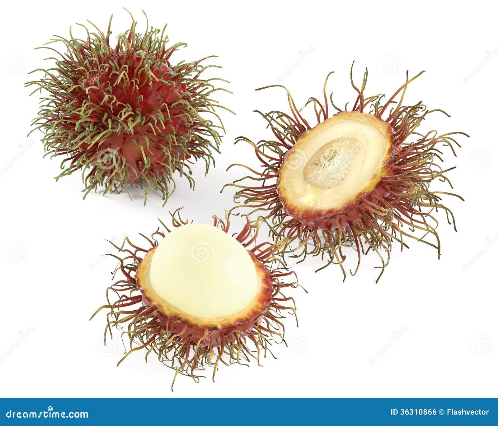 Fruit Rambutan Red Shell Stock Illustrations – 3 Fruit Rambutan Red ...